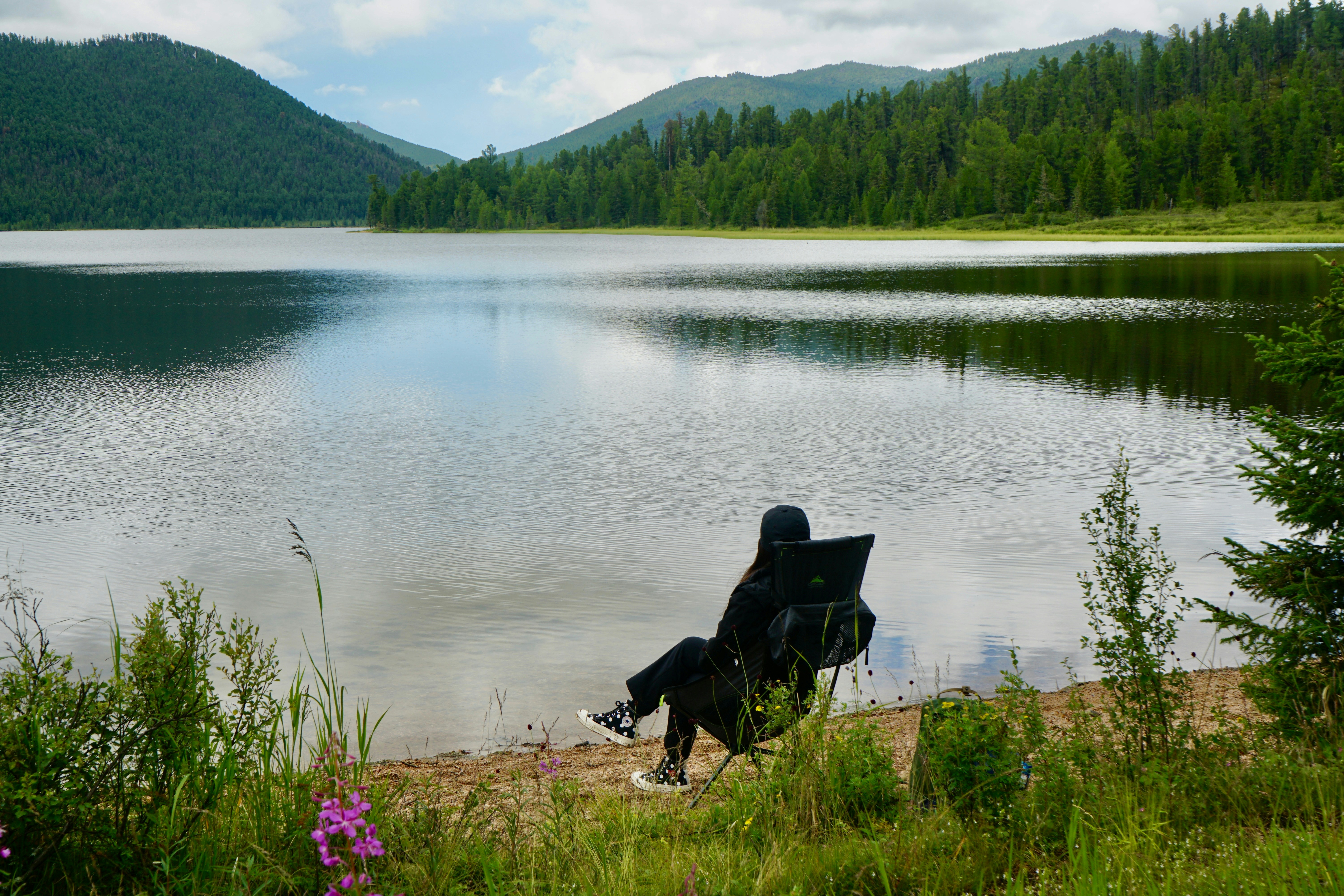 Seated by the Still Lake: Quiet Solitude in the Pines