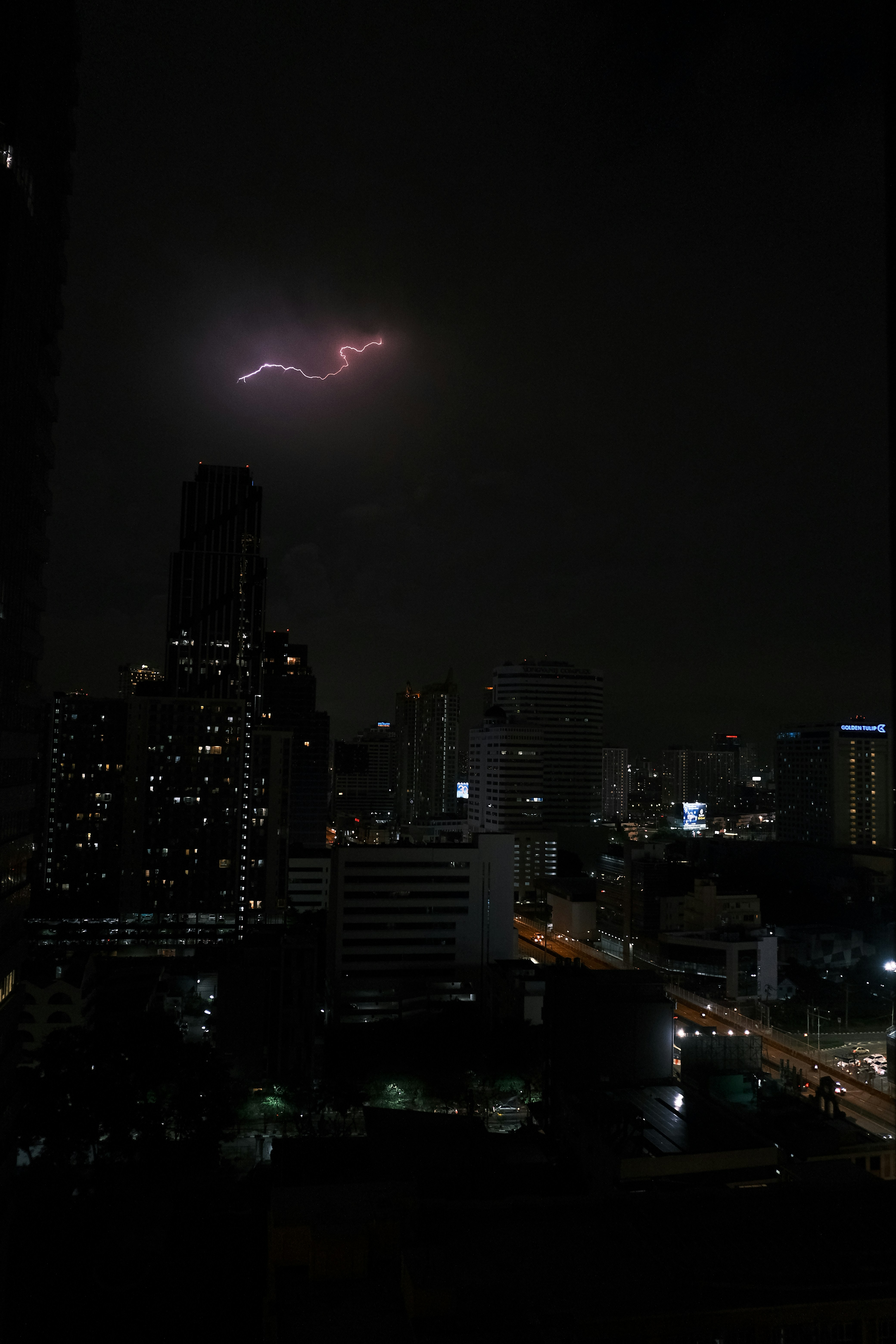 Fork in the Night: Lightning over a Silent City