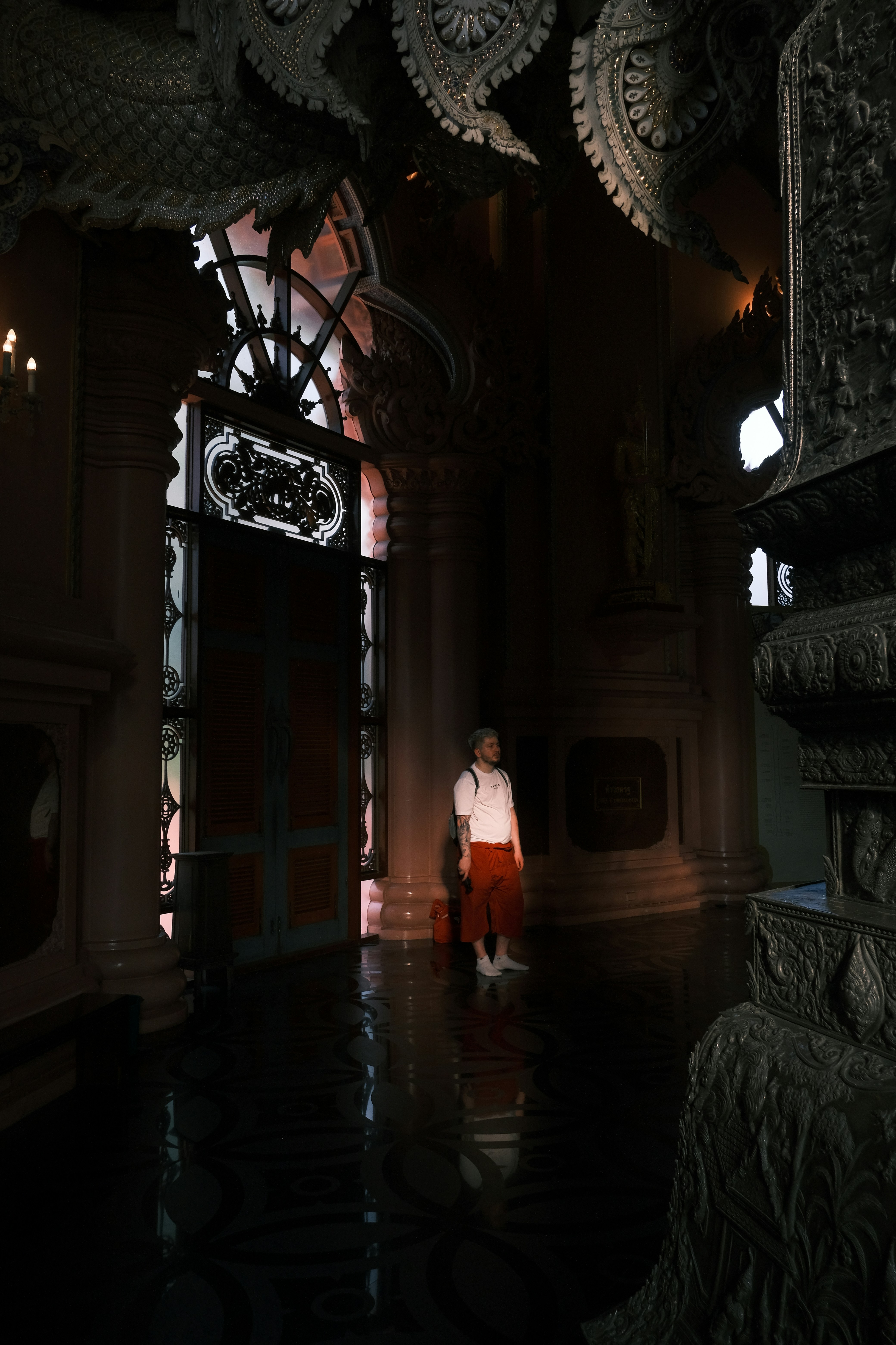 Man in a Crimson-Trimmed Hall: Quiet Echoes Within Ornate Walls