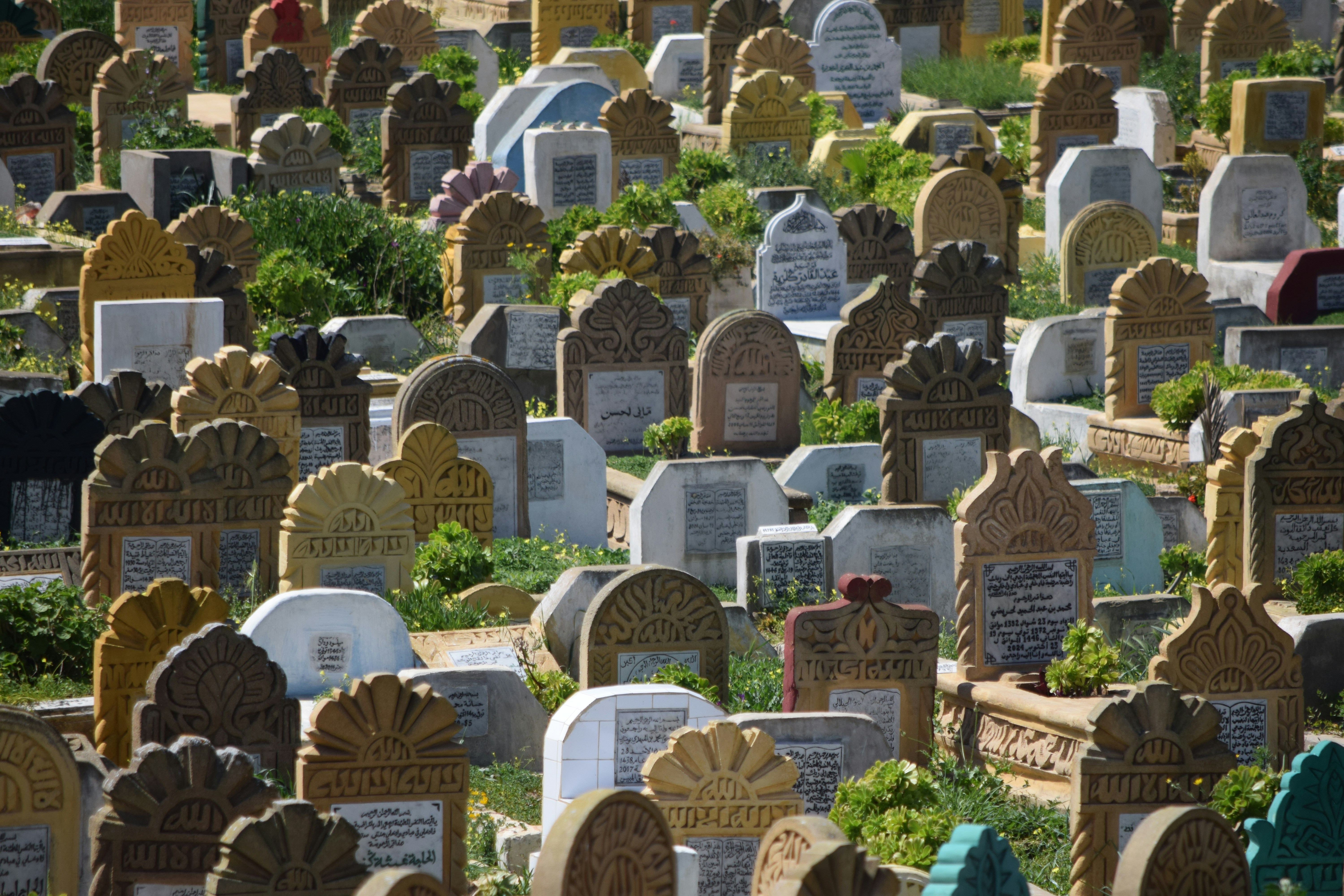 Hidden Geometry: A Quiet Sea of Tombstones in Soft Sun