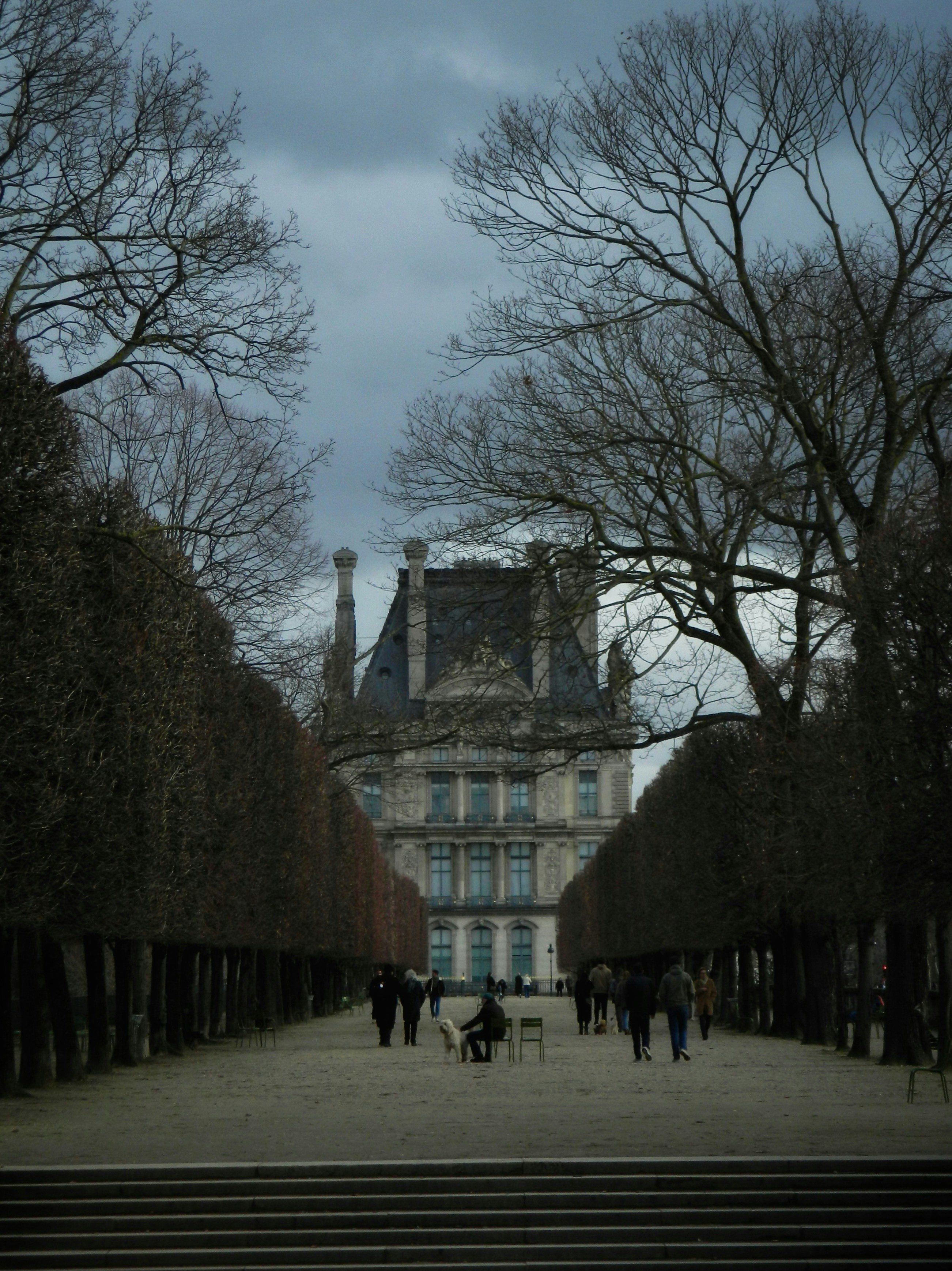 Muted Avenue toward a Parisian Manor