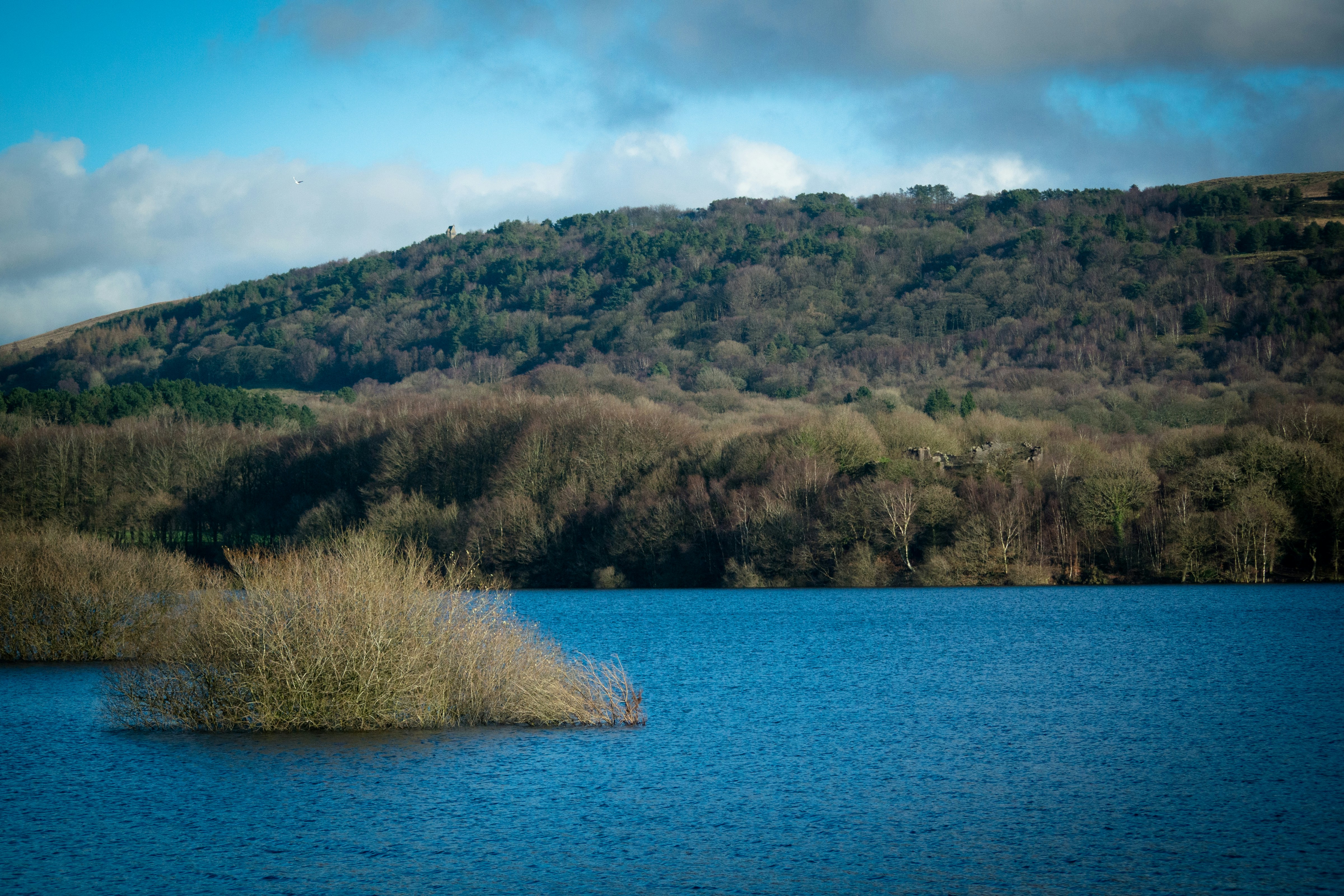 Blue Horizon over a Quiet Reservoir
