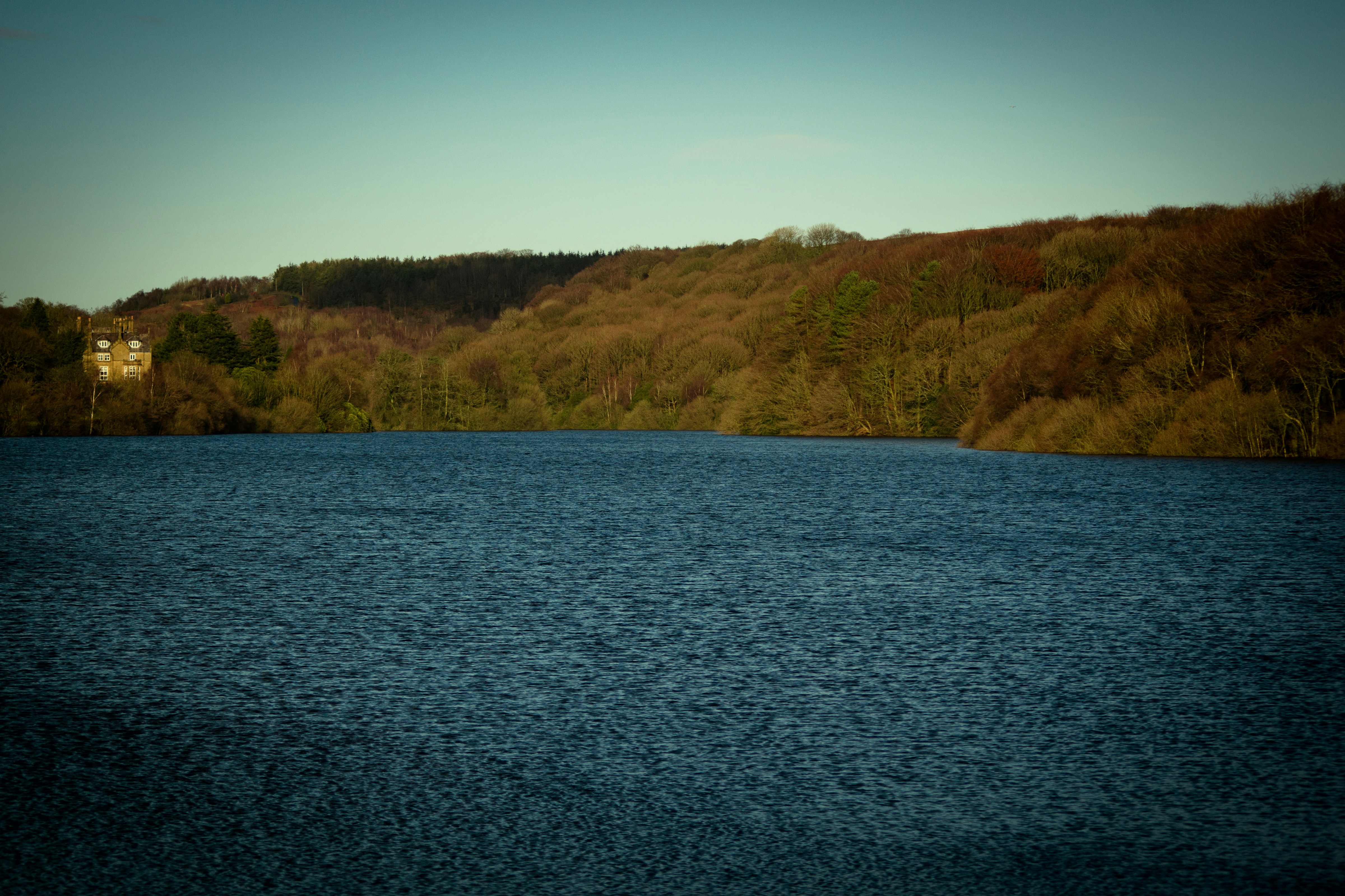Quiet Waterside Quietude
