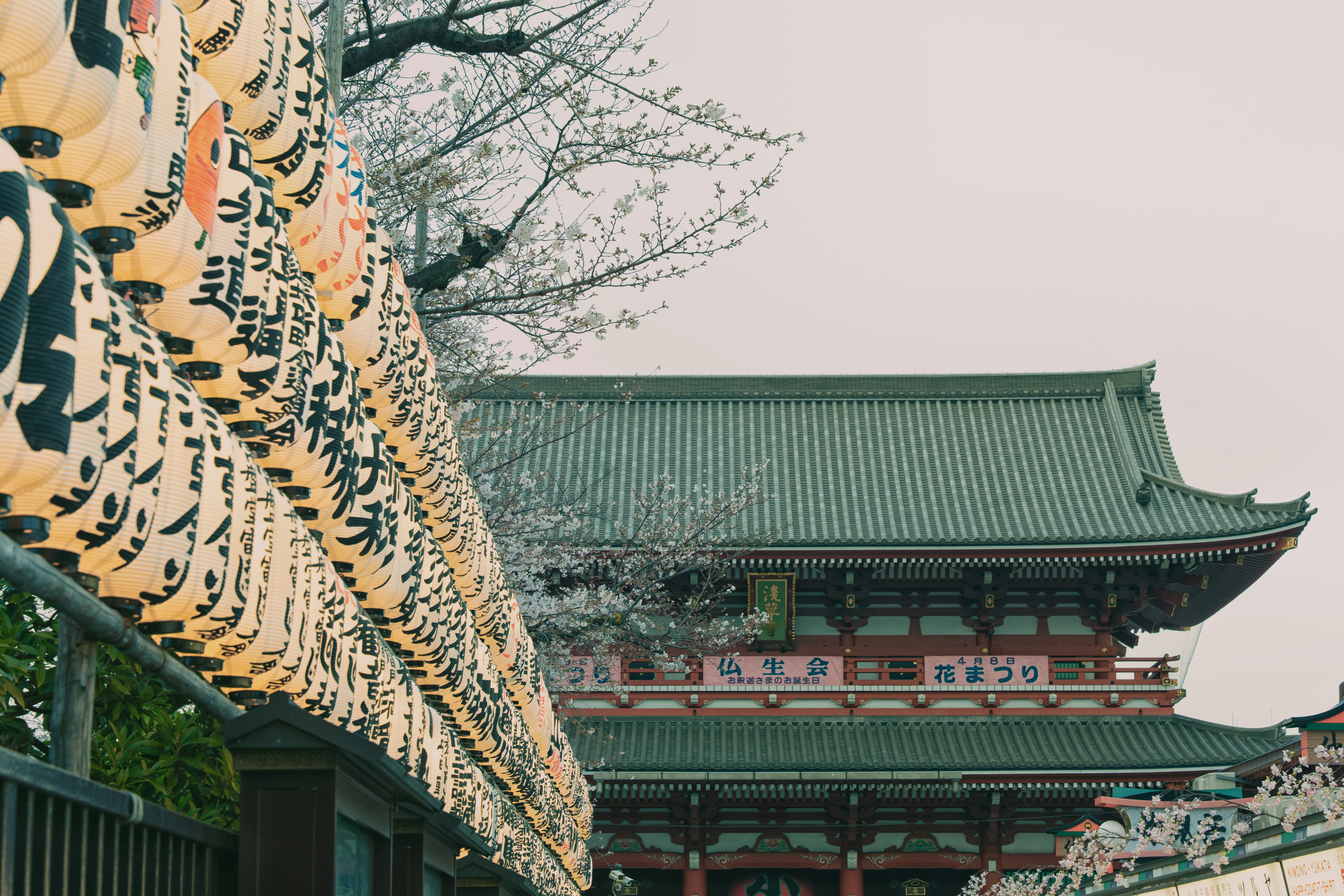 Lantern-lined Approach to a Classical Shrine