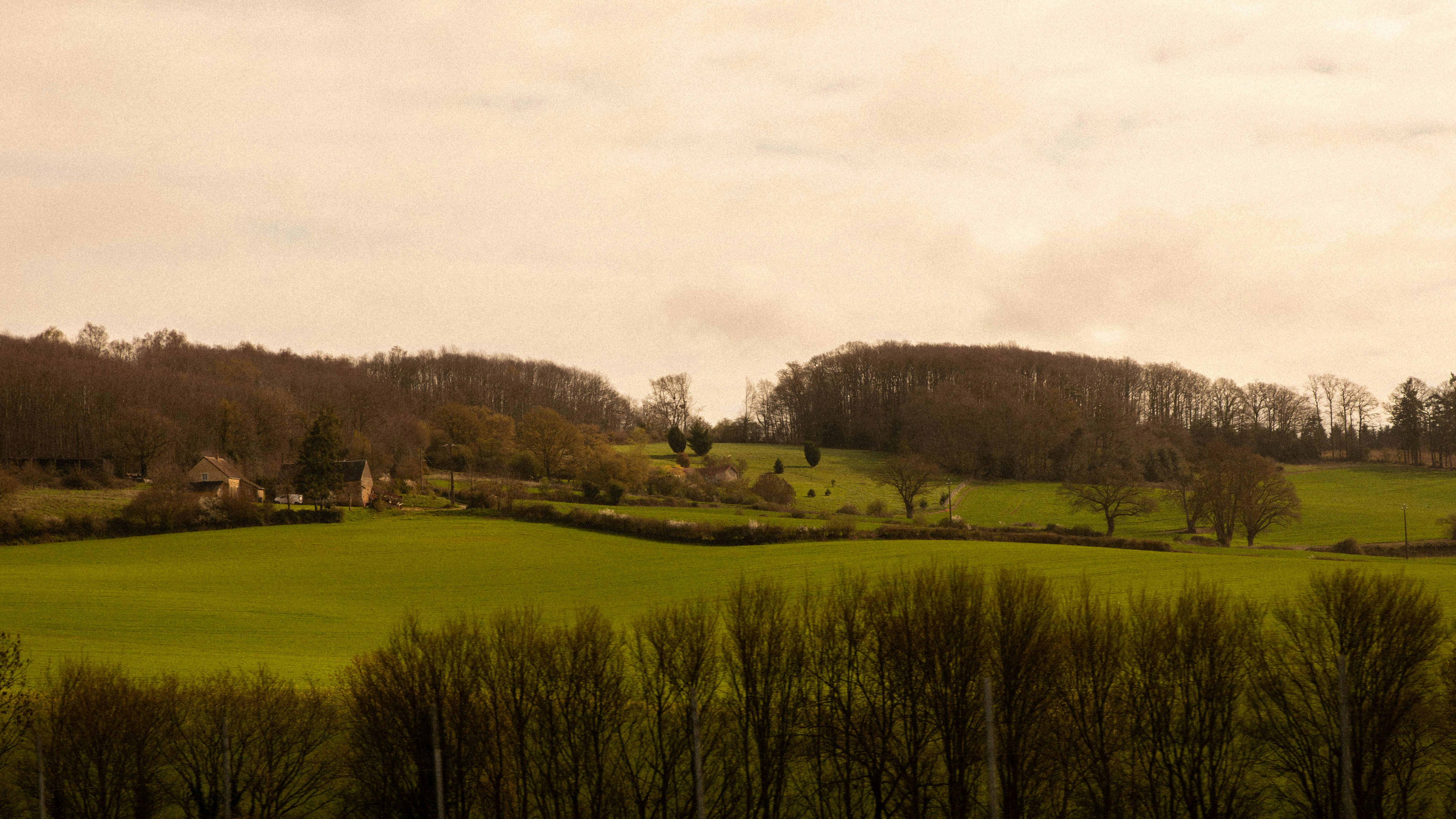 Pastoral Crest: A Quiet Horizon Over Rolling Fields