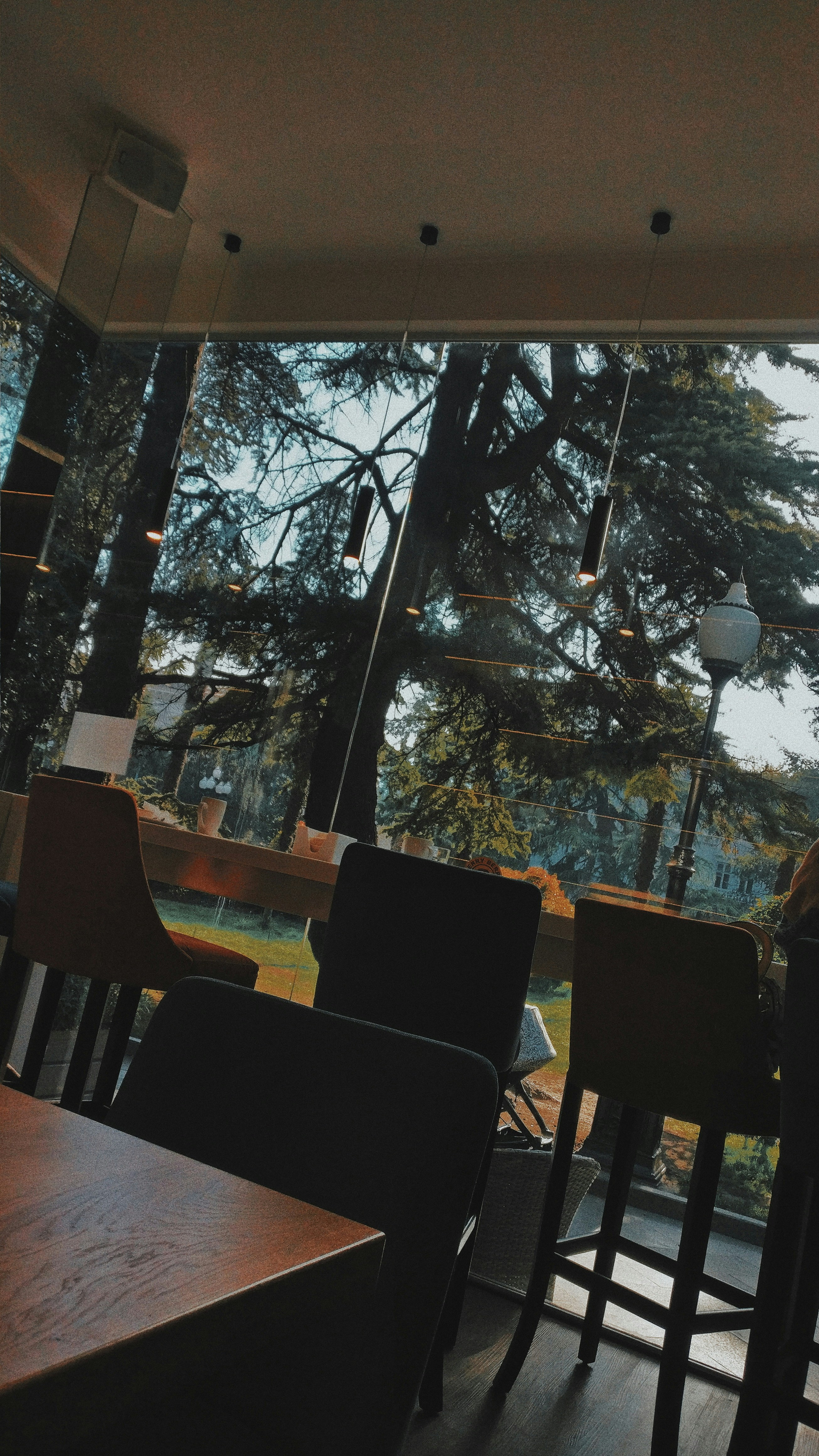 Quiet Corner of the Café: Light, Chairs, and Glass