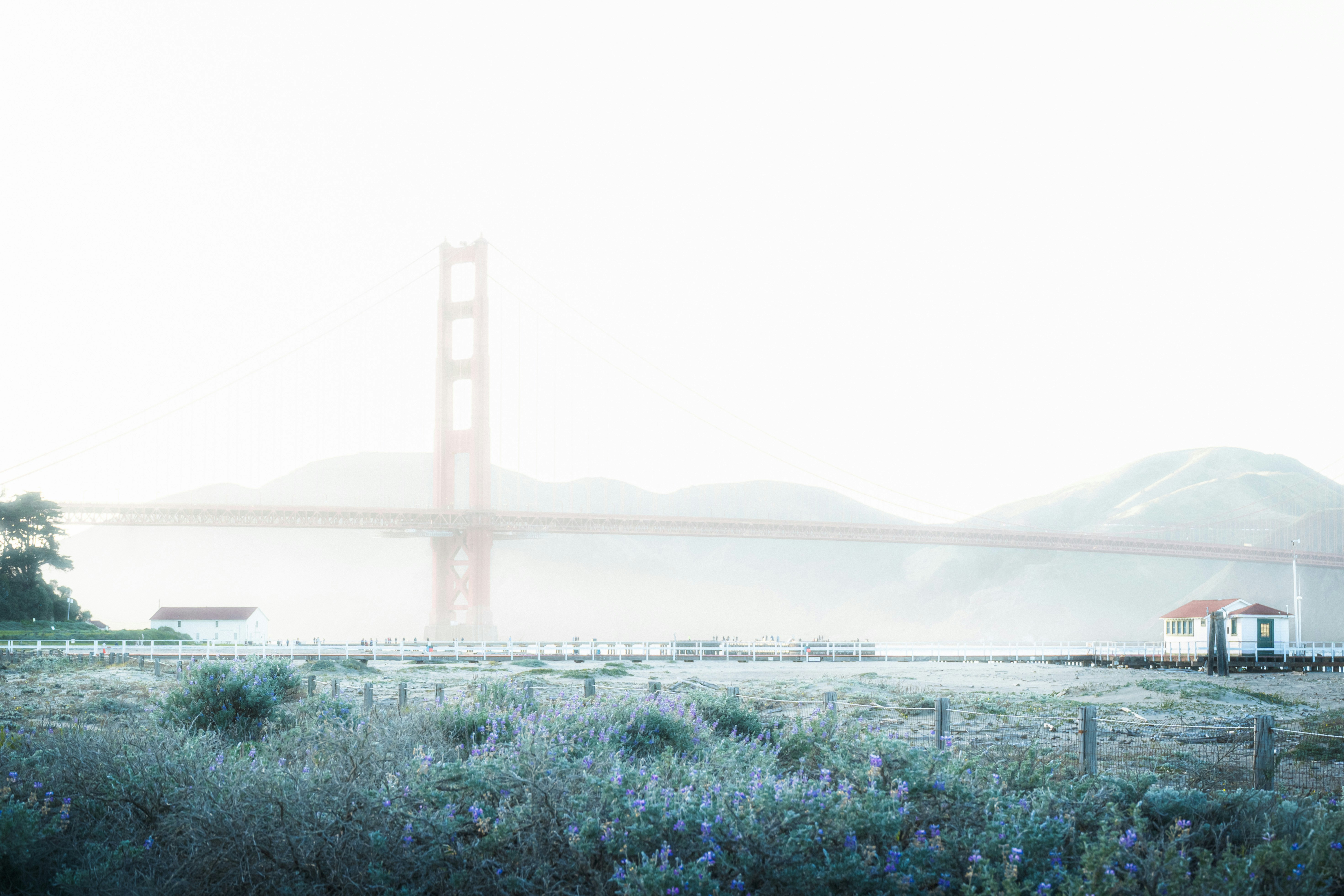 Mist over the Golden Gate Field