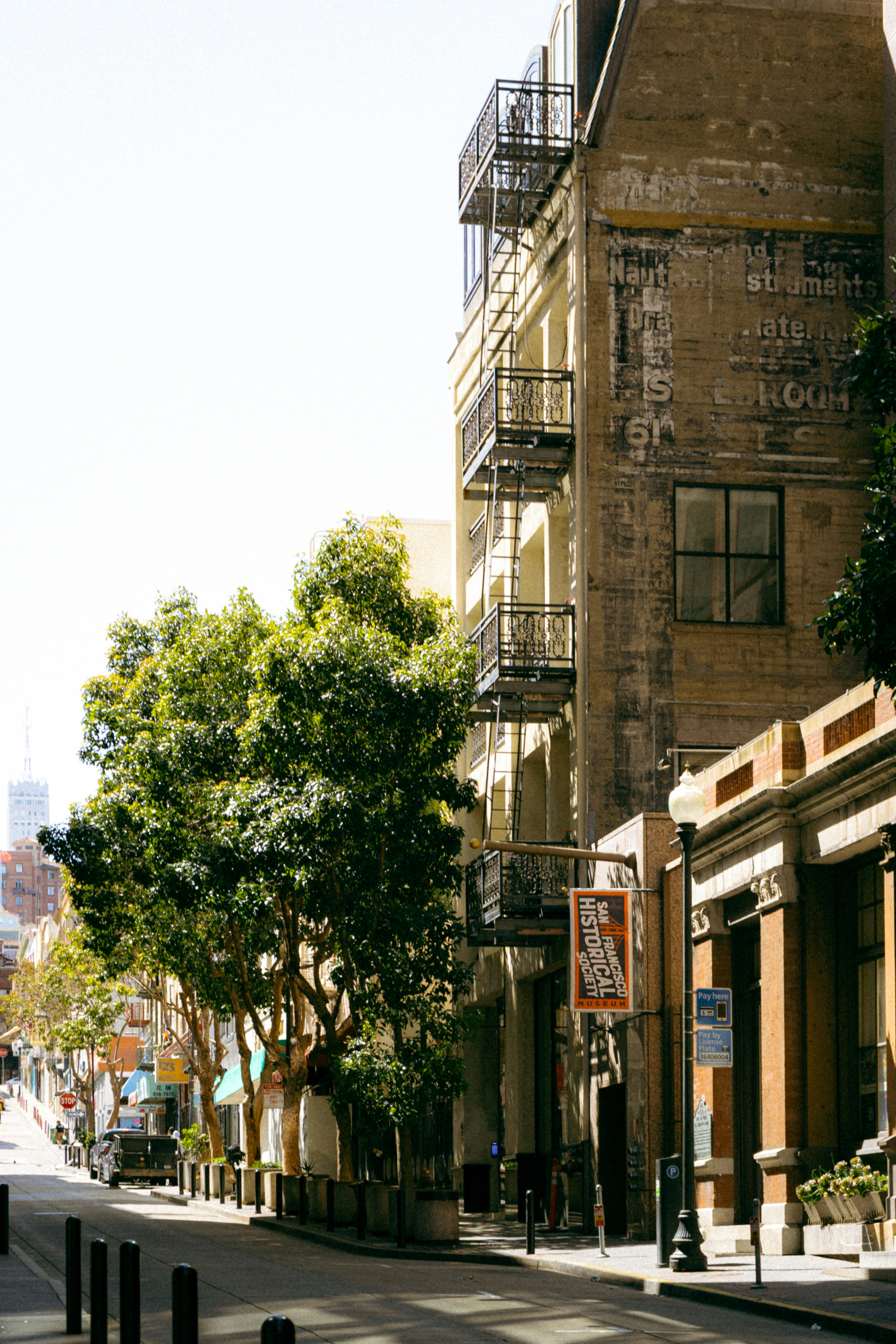 Sunlit Urban Facade: Fire Escape and Tree Alignment