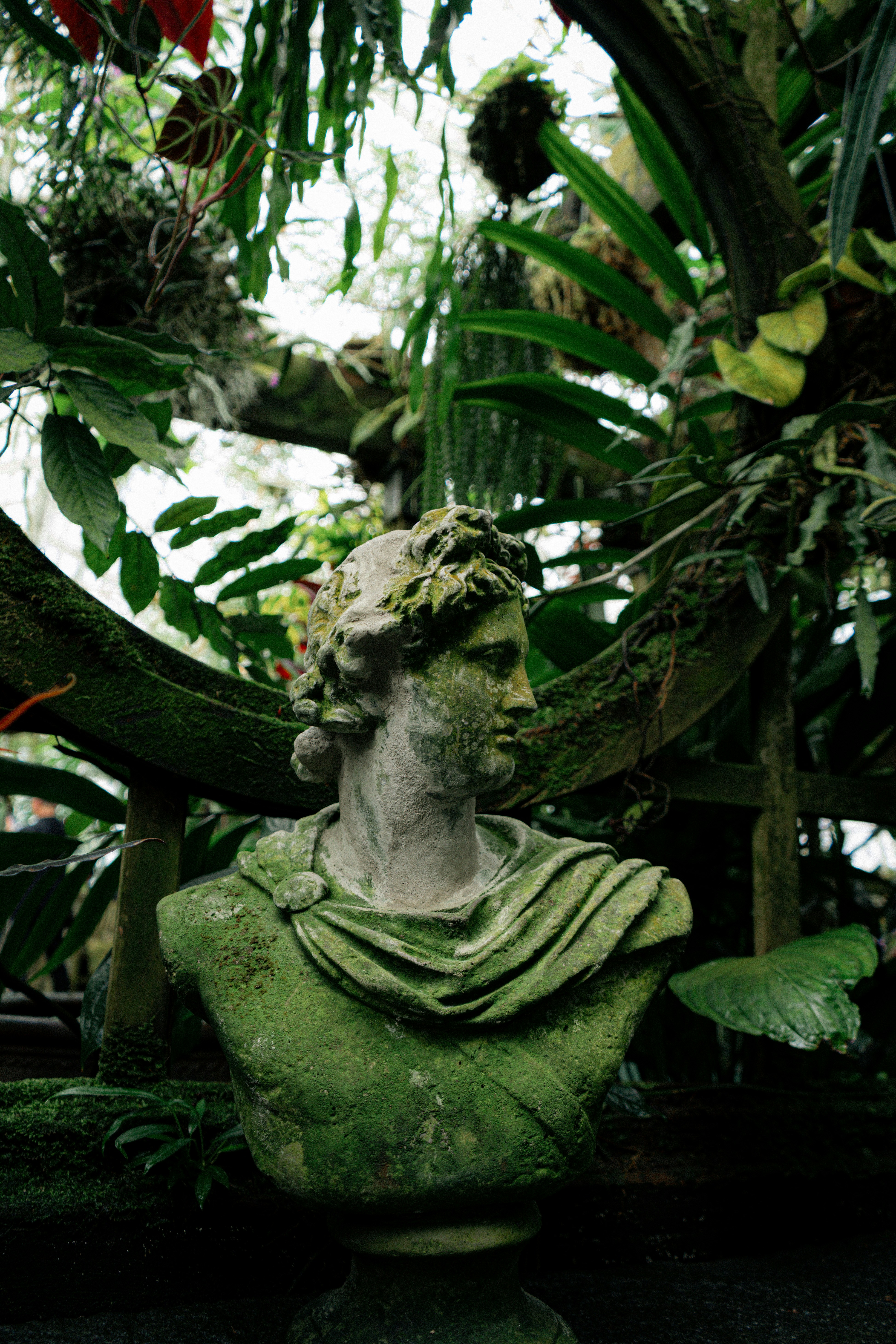 Greened Reverie: Moss-Covered Bust Beneath Jungle Fronds