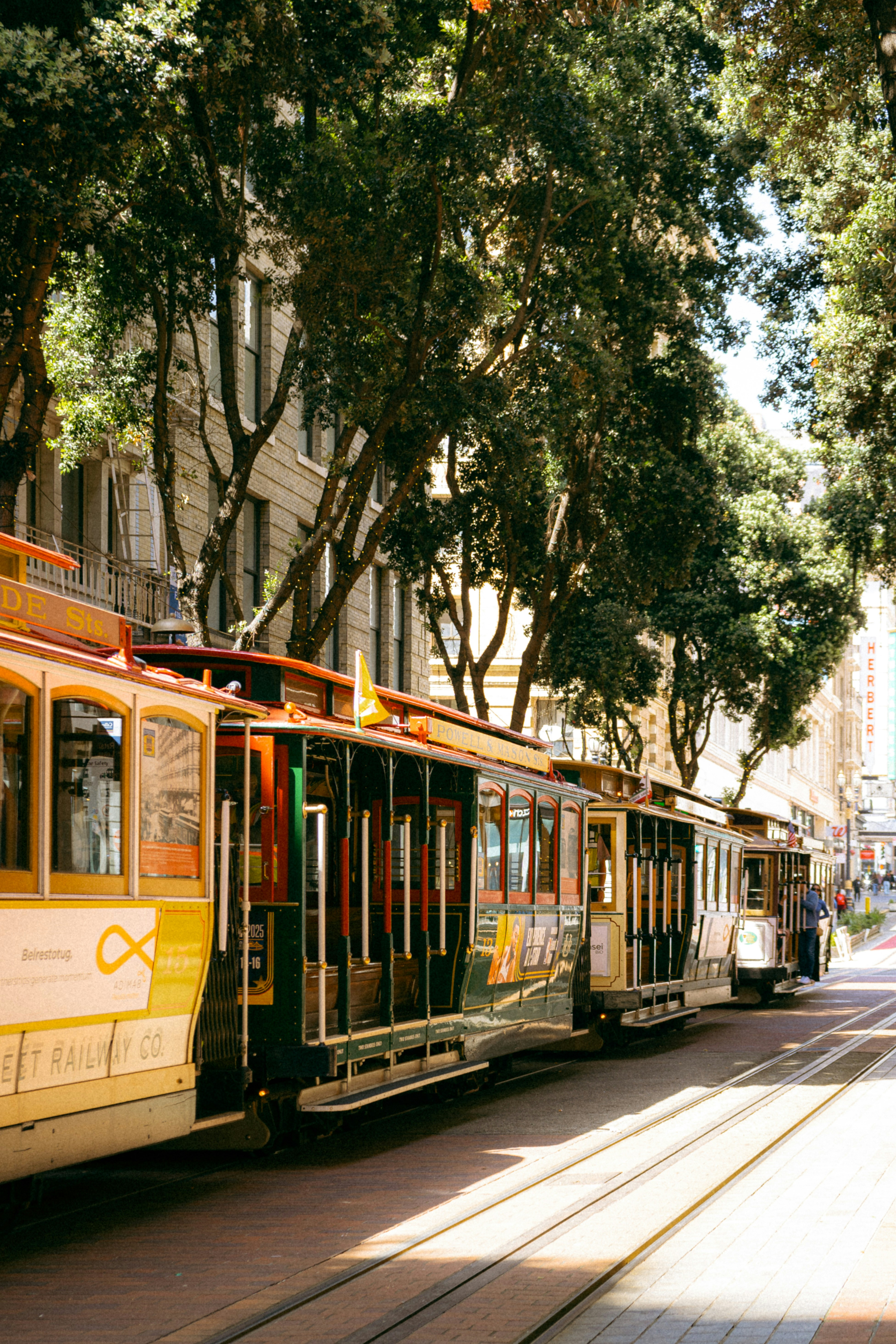 Tram Lineage: Sunlit Carriages Along a Gentle City Street