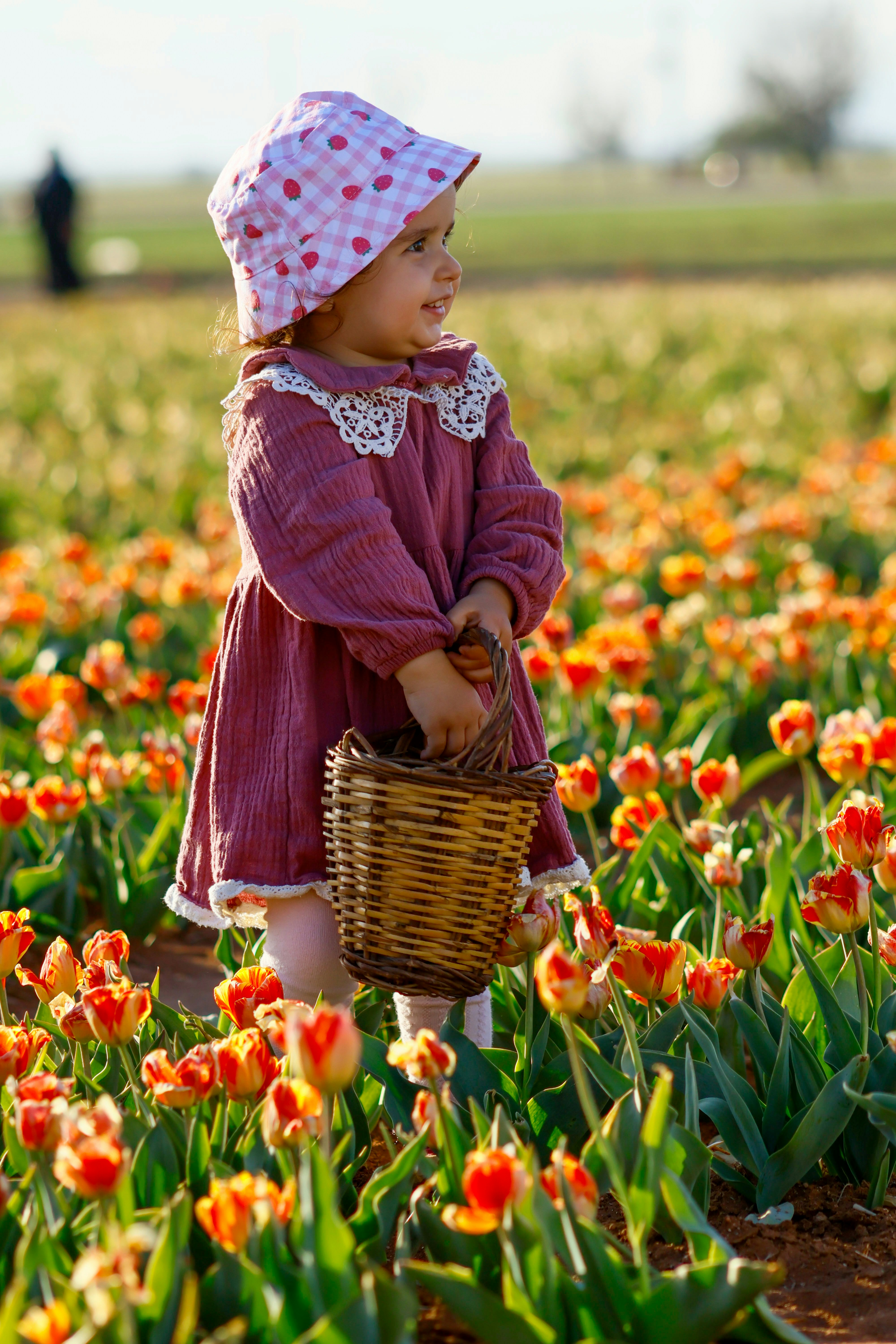 Little Gardener in a Field of Tulips