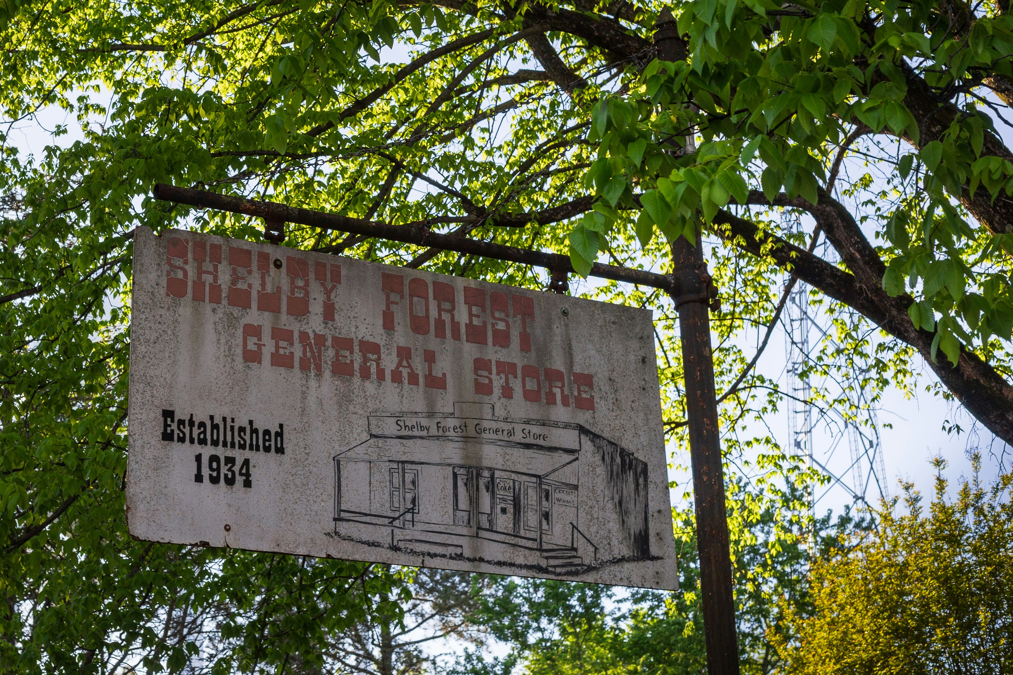 Shelby Forest General Store Sign Beneath a Canopy of Green