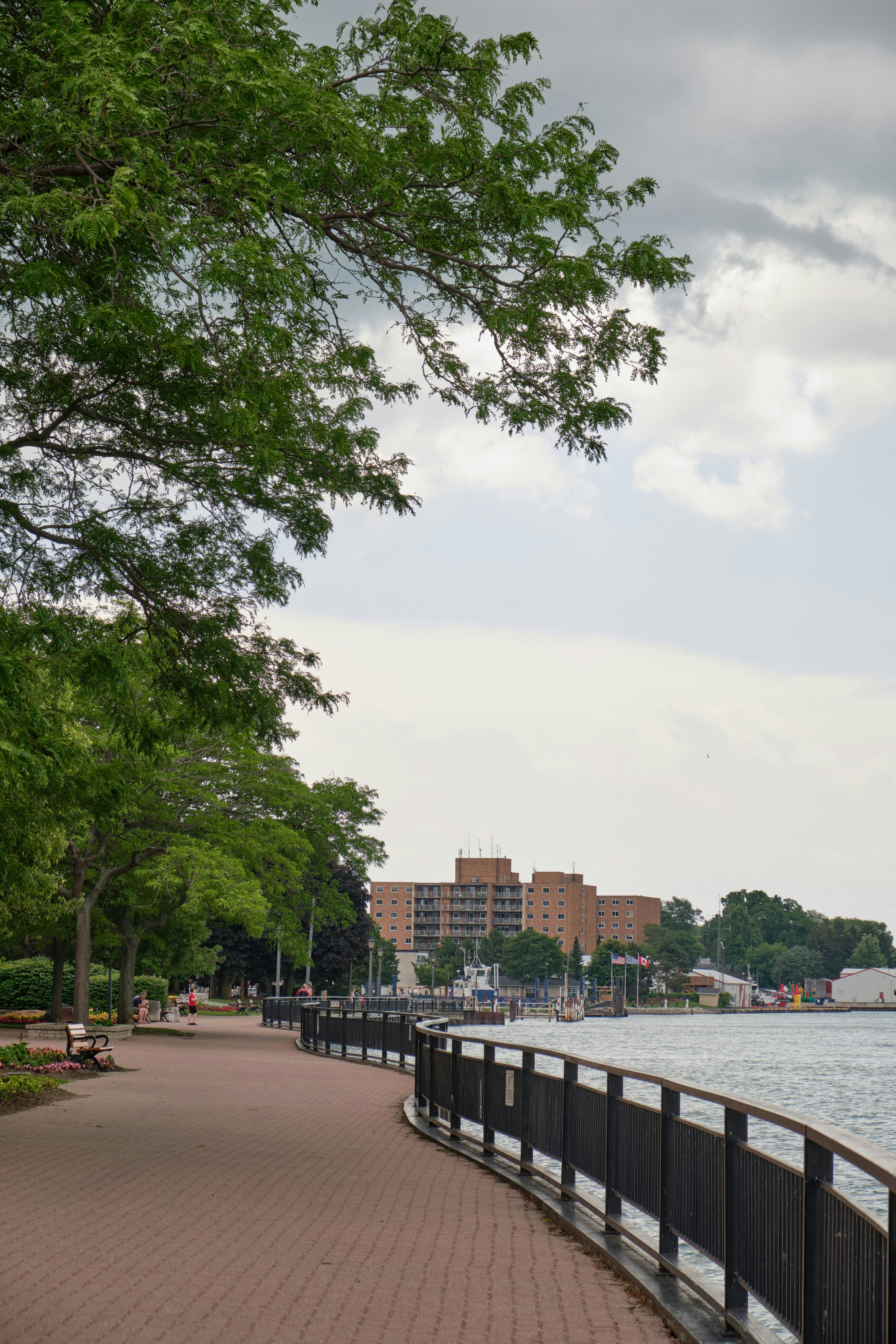 Looping Waterfront Promenade Under a Canopy of Green
