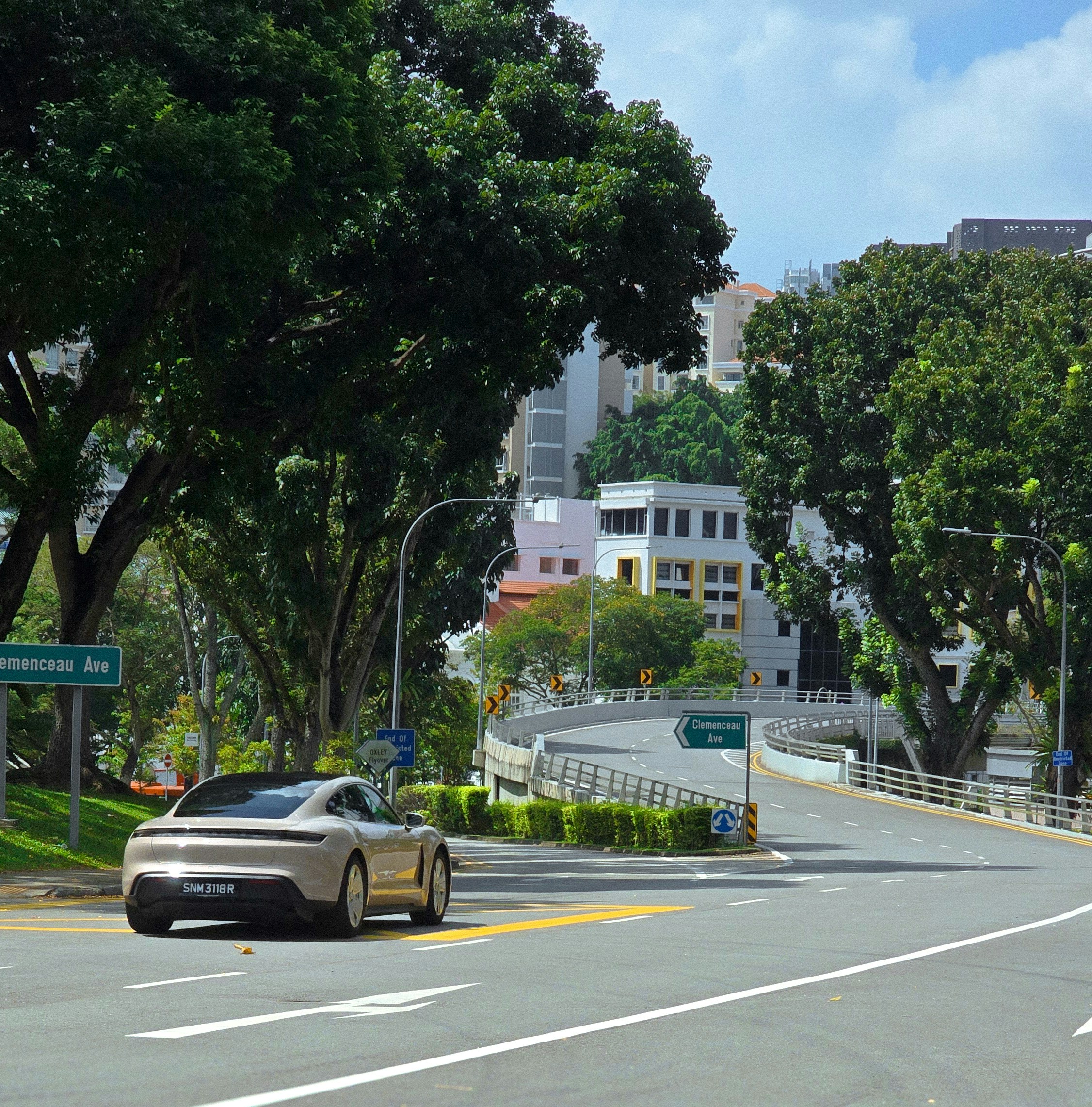 S-curving Avenue: Car Under a Canopy of Urban Green