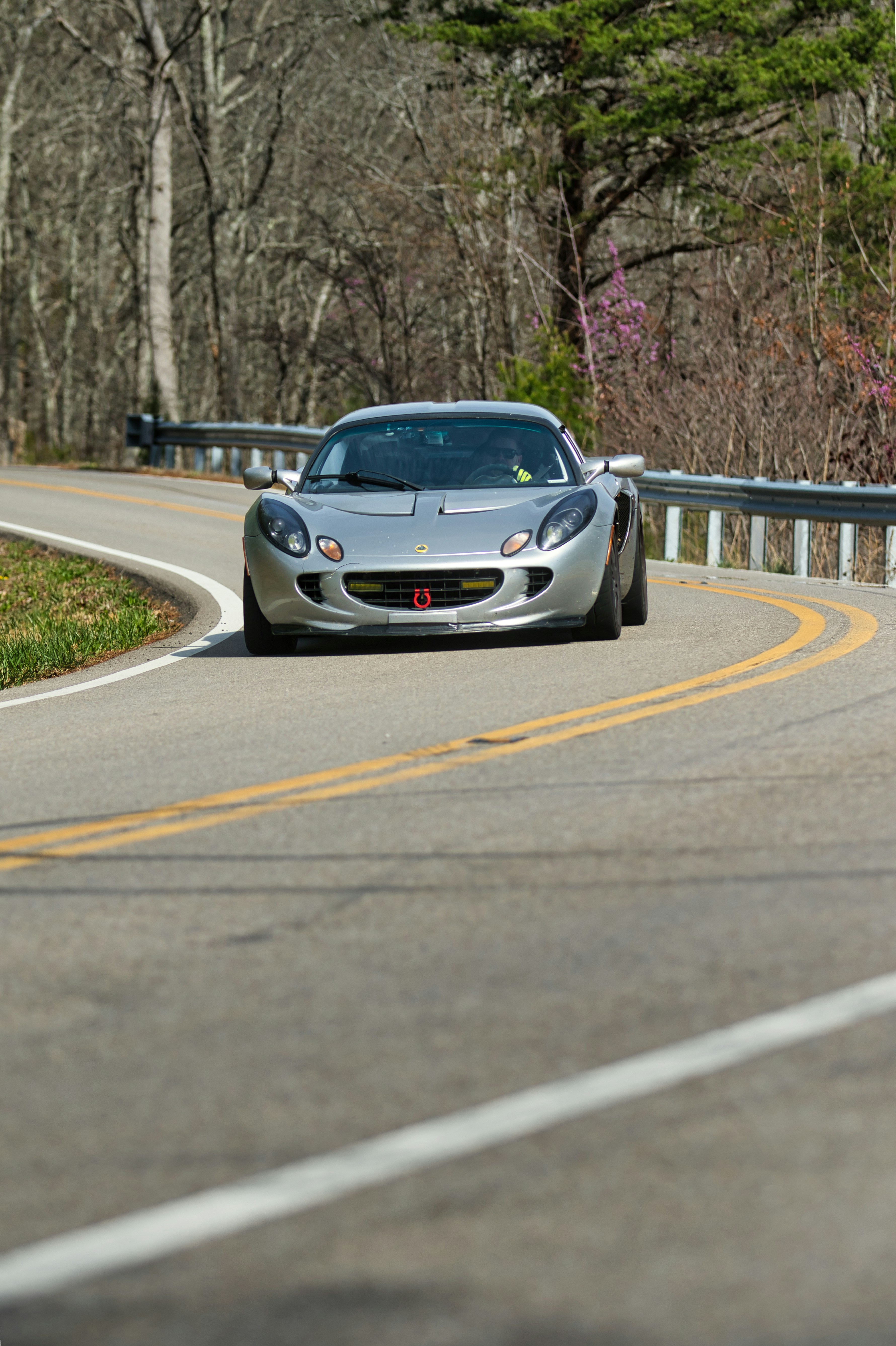 Silver Lotus on the Curved Road