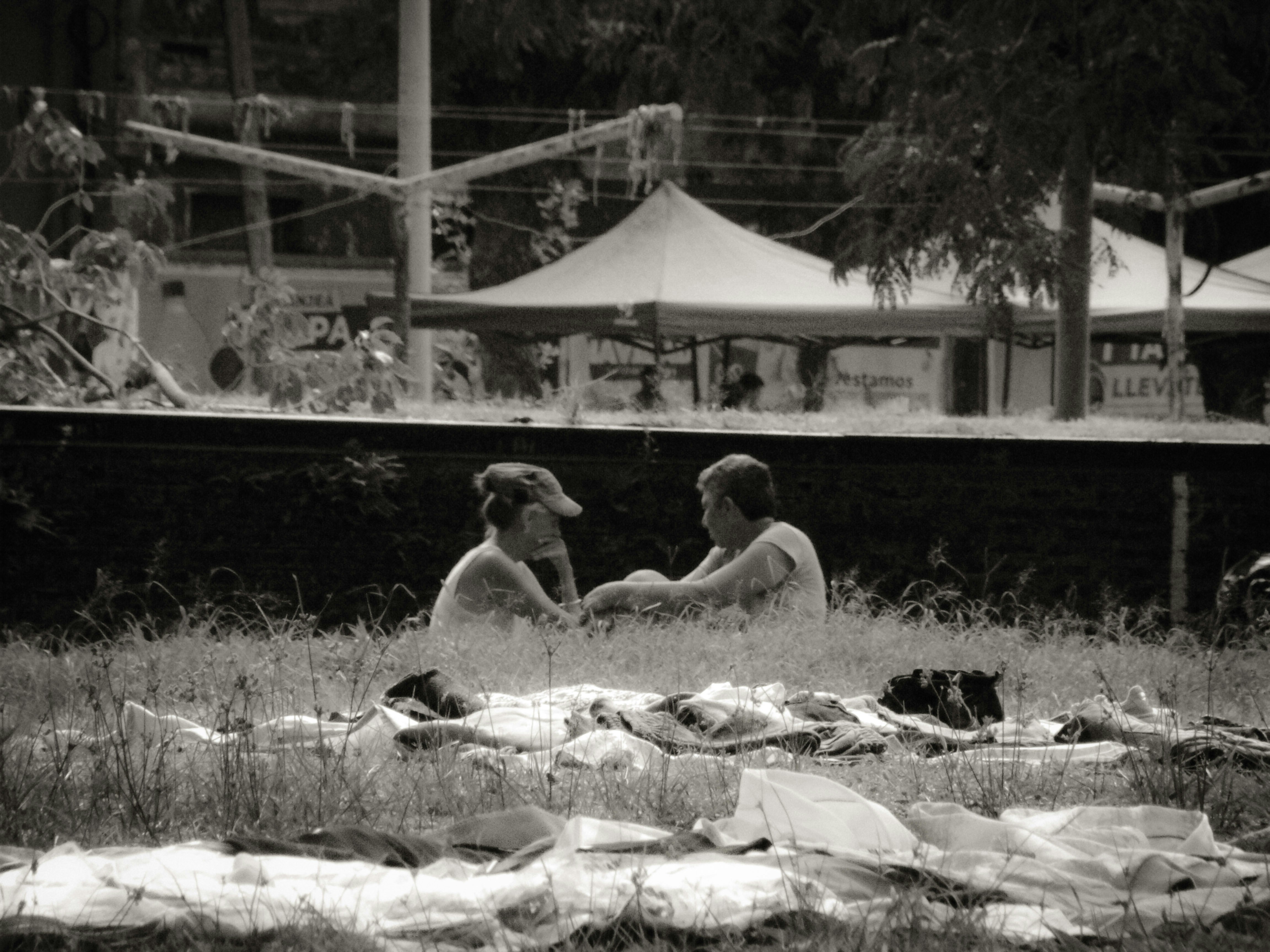 Muted Conversation Under the Park Canopy