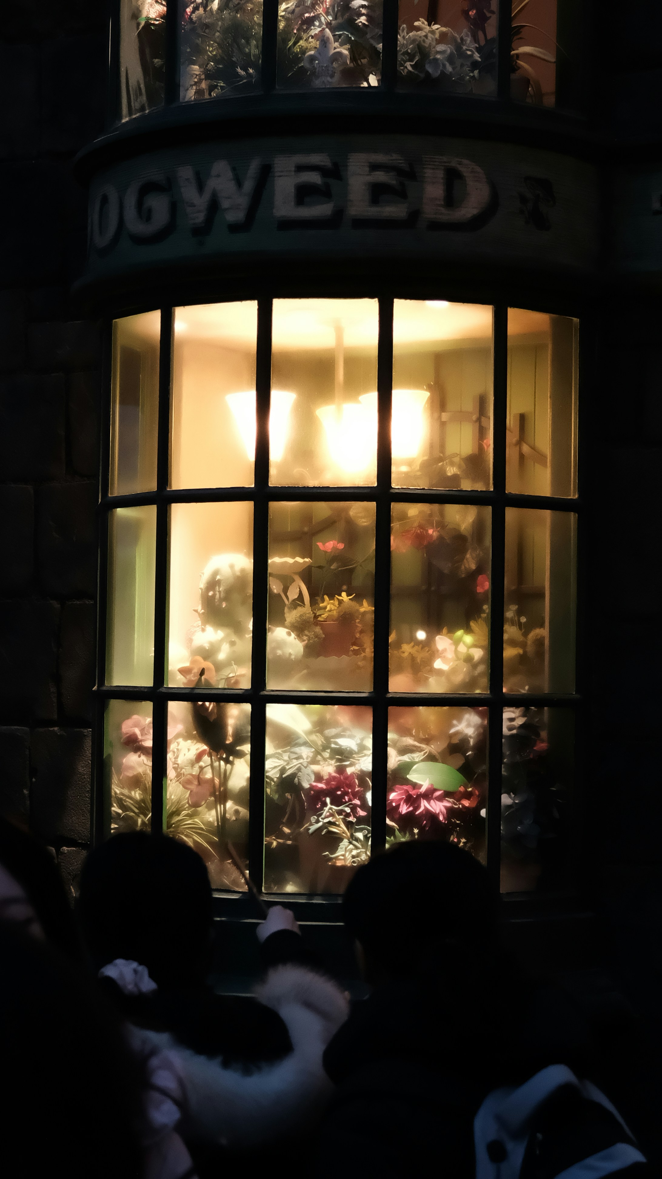 Glowing Display Window Amid Nightcrowd