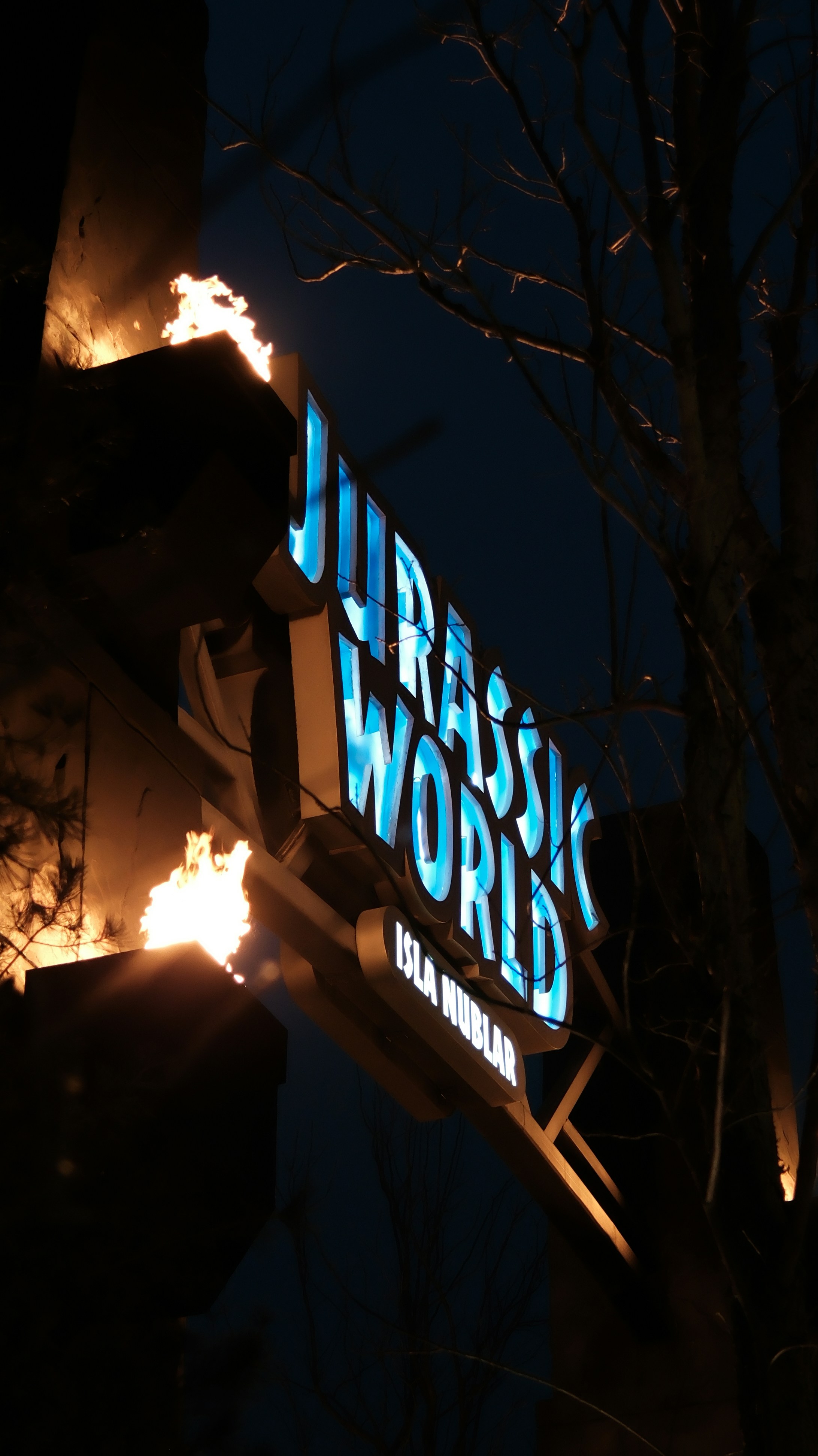 Neon Dragon Sign Under Night Flames