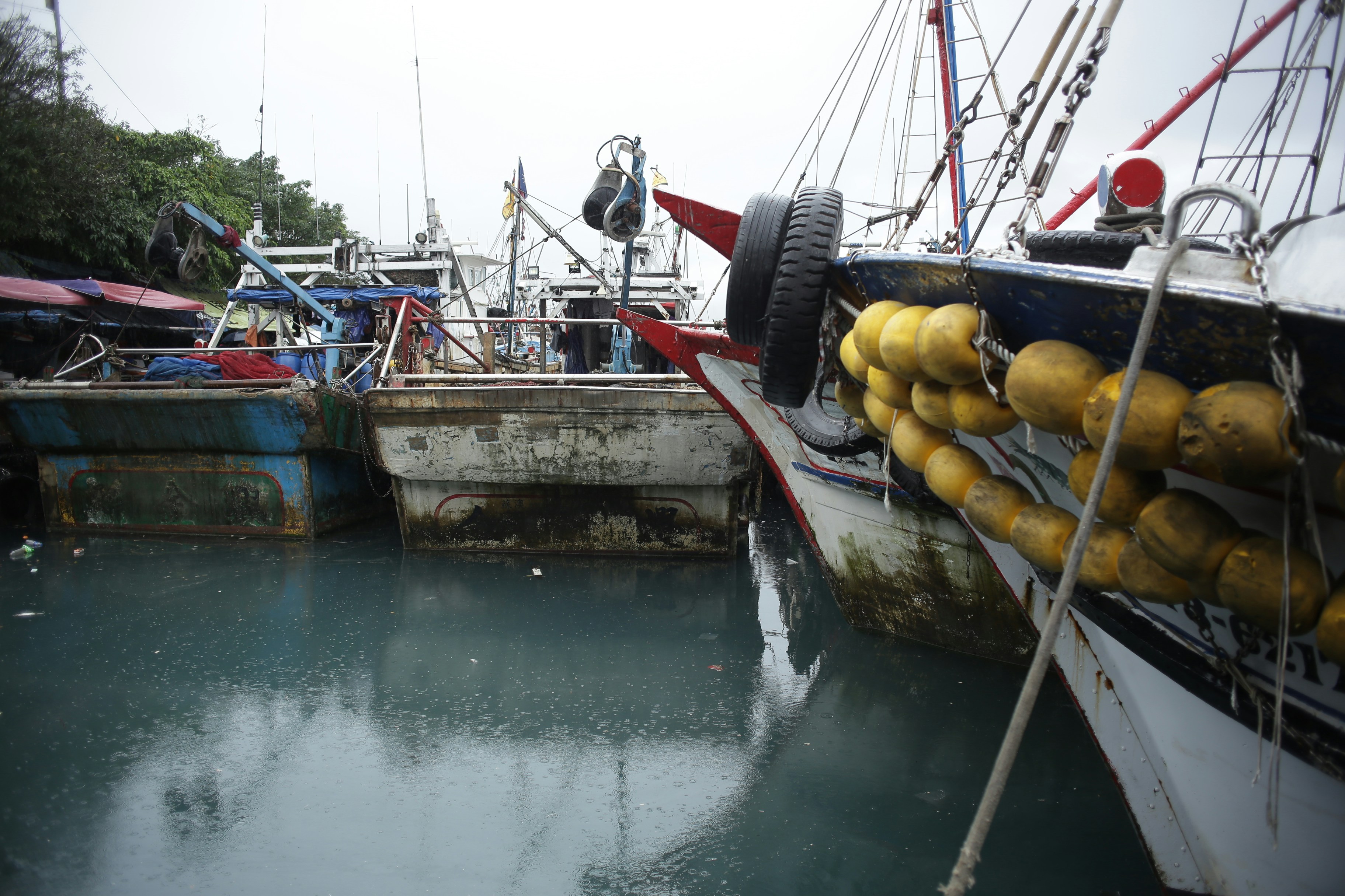 Dockside Boats and Buoyant Sails: A Quiet Harbor Mosaic