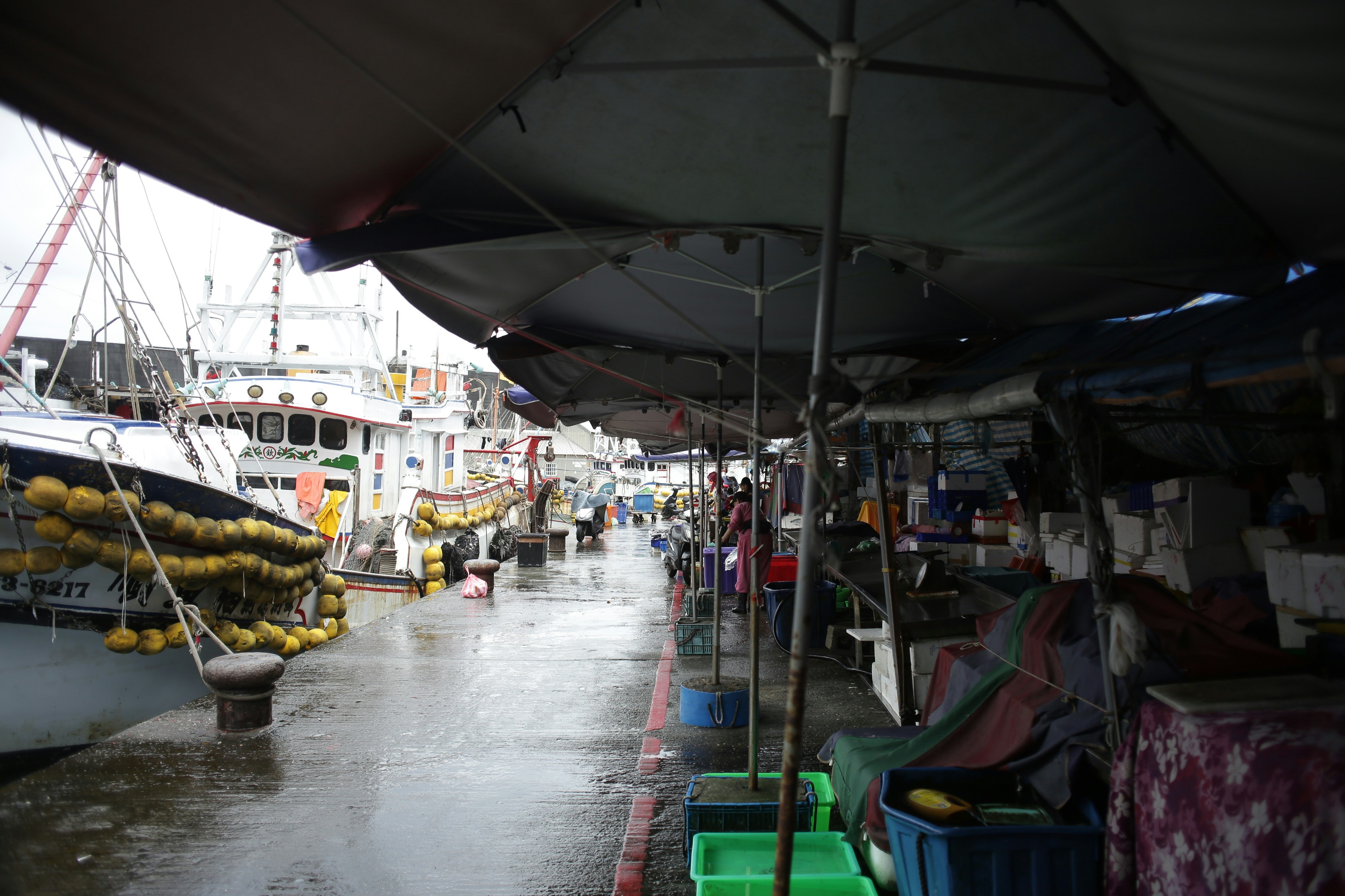 Market Alley Under Canopies on a Rainy Dockside Day