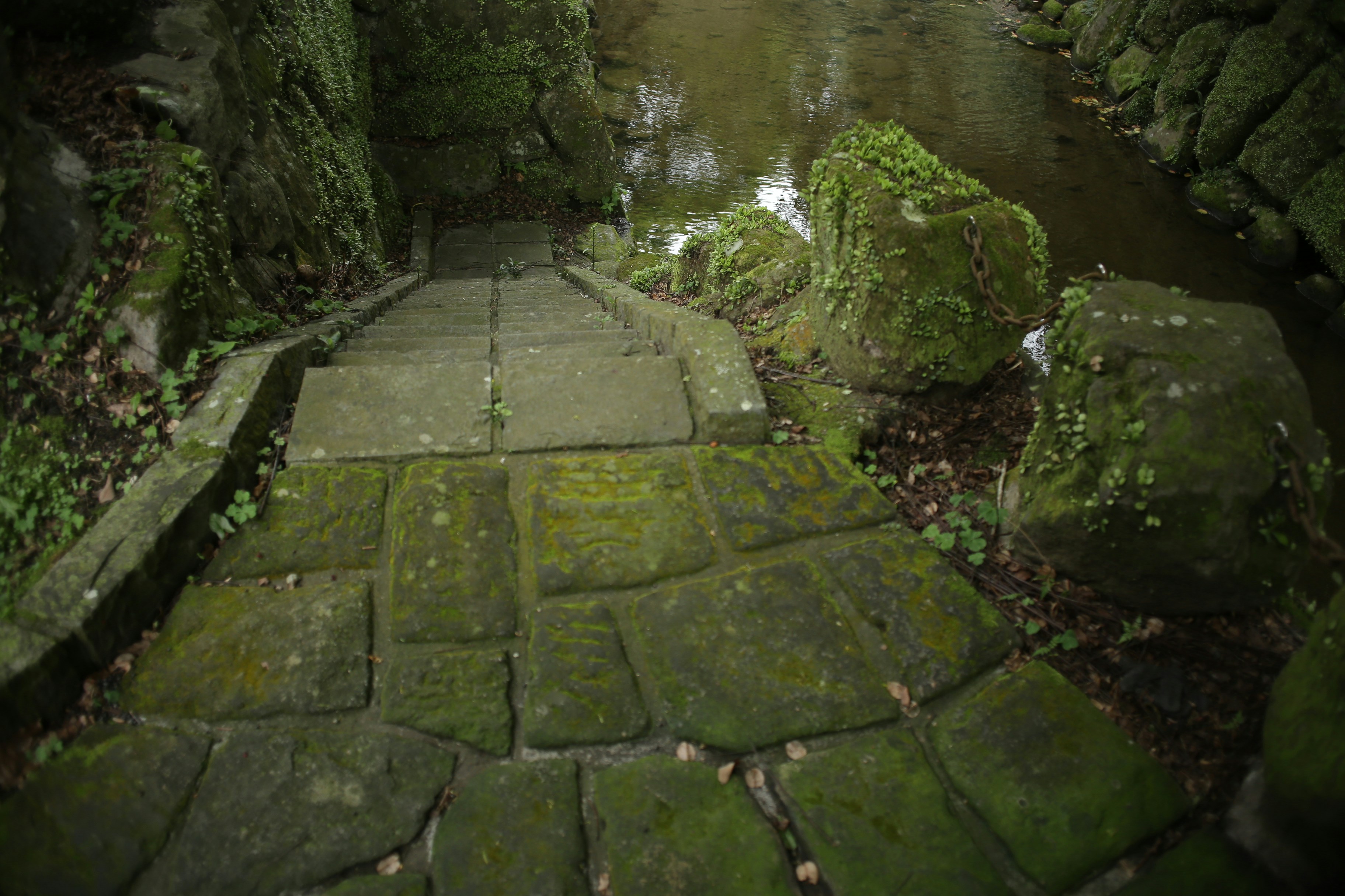 Mossy Stone Steps Descending into a Quiet Water Channel