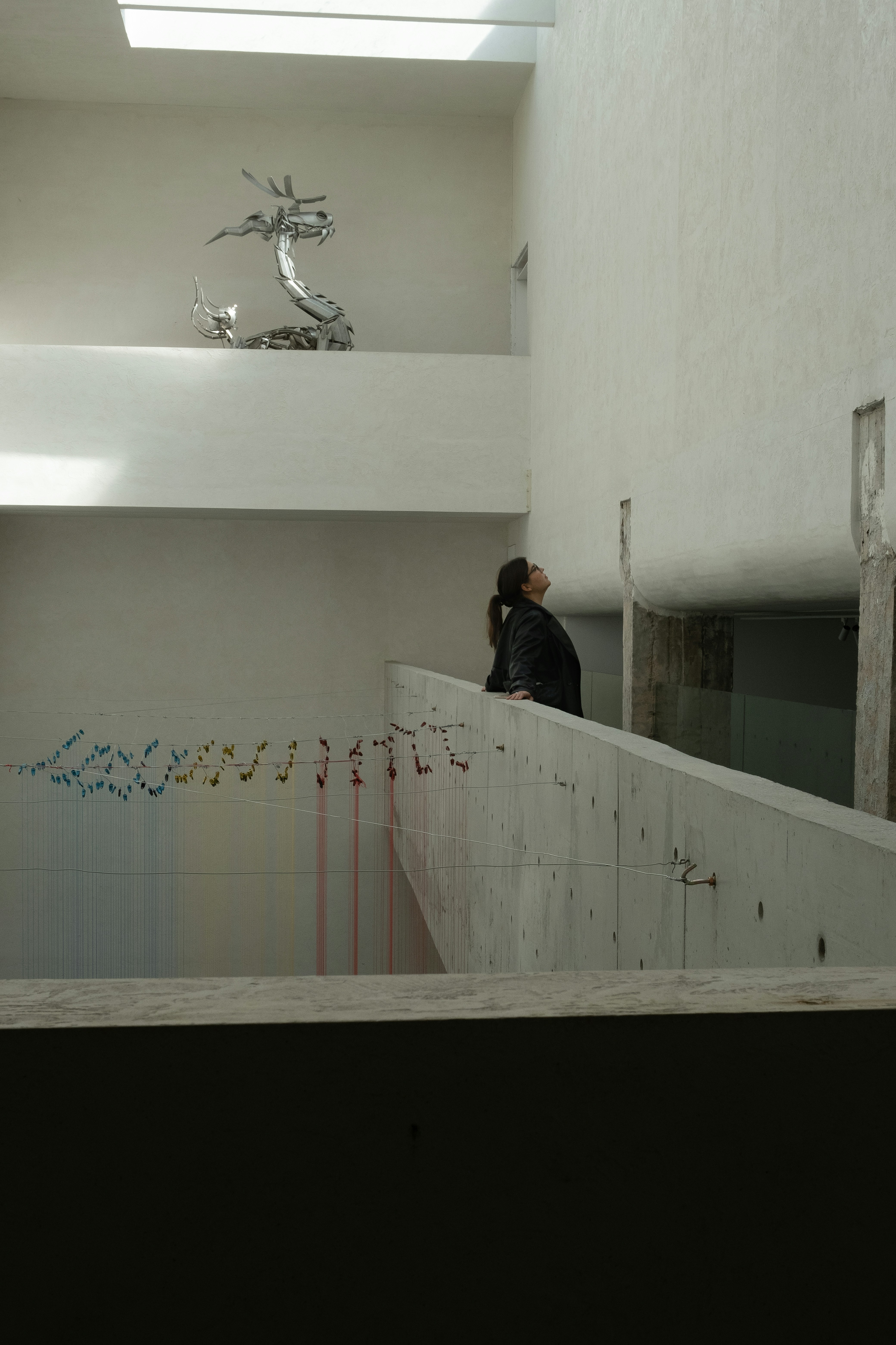 Rooftop Gaze: A Silent Moment Above the Atrium