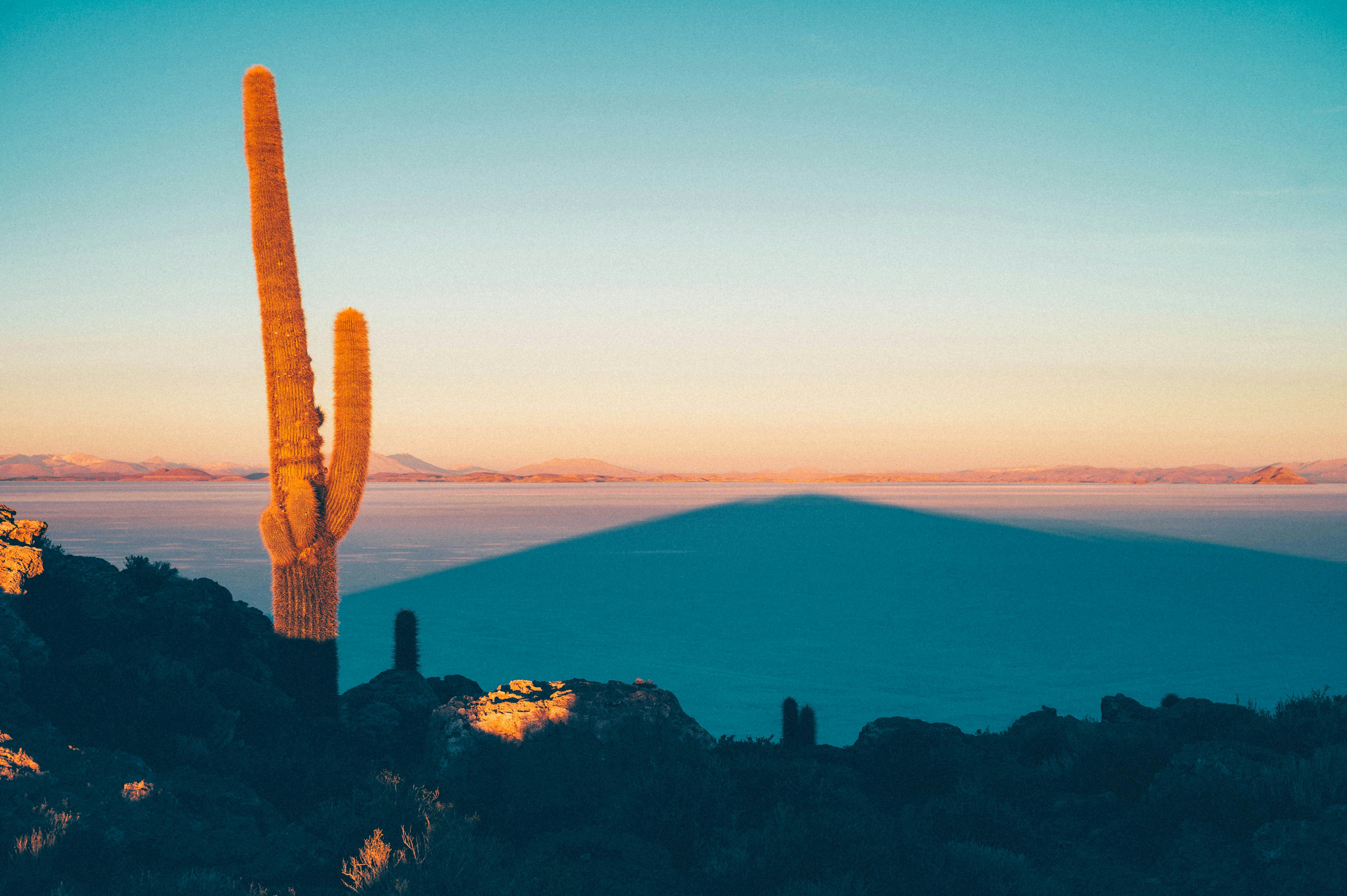 Desert Shadow: A Camelback Canyon Under a Silent Sky