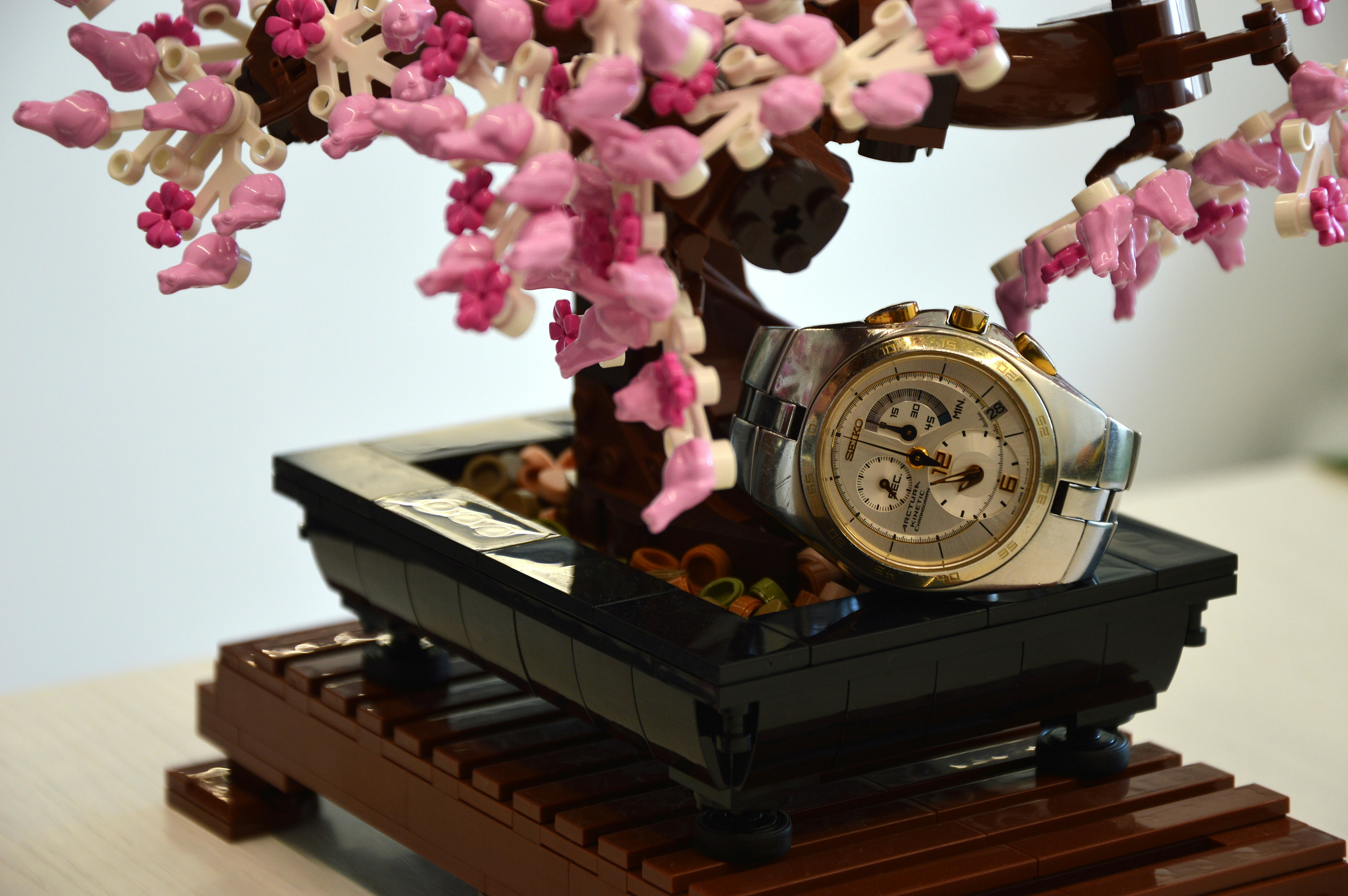 Timekeeping on a Cherry Blossom Stage: A Watch Resting on a Toy Bonsai Treasure Box