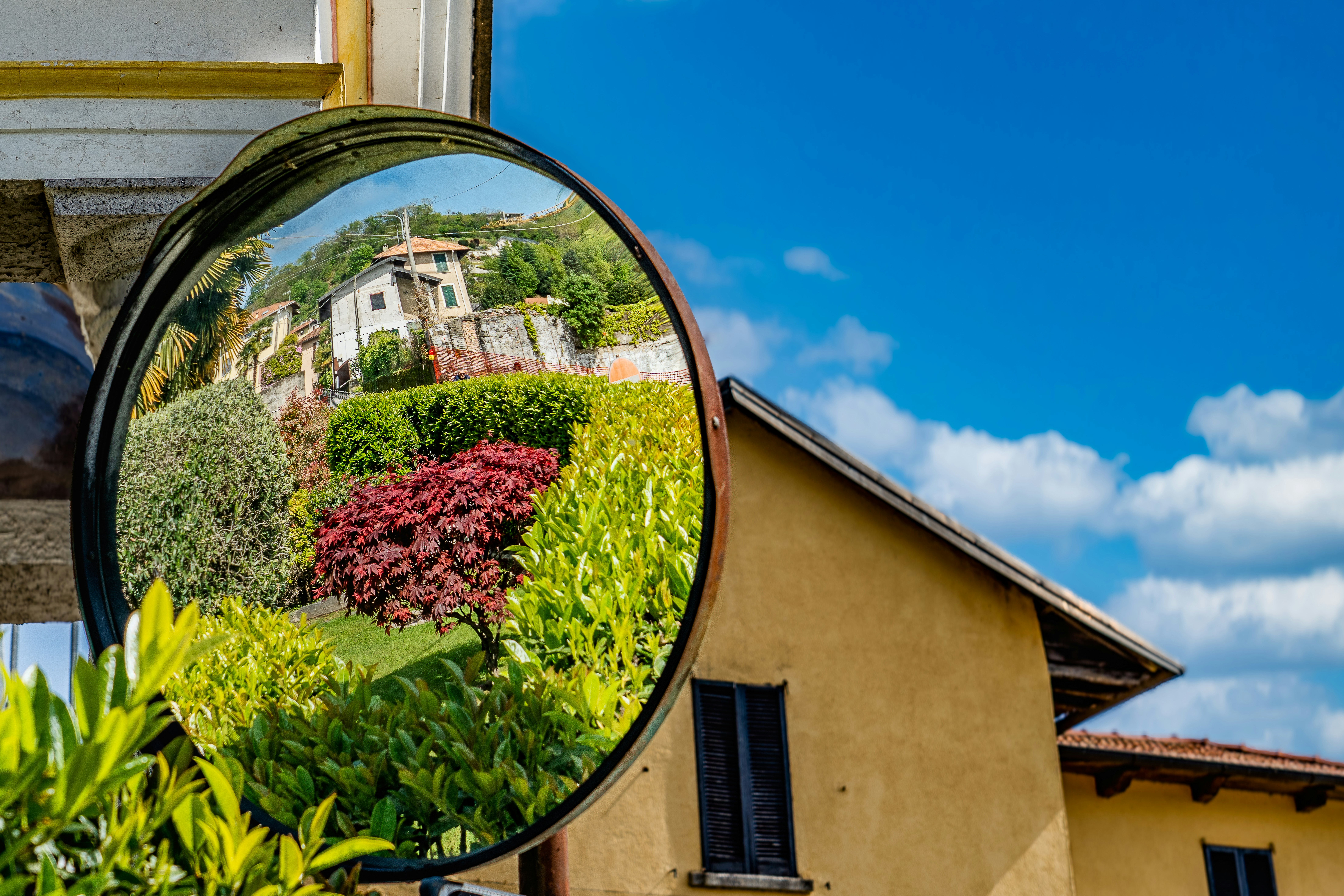 Convex Reflections: Garden Panorama in a Sphere