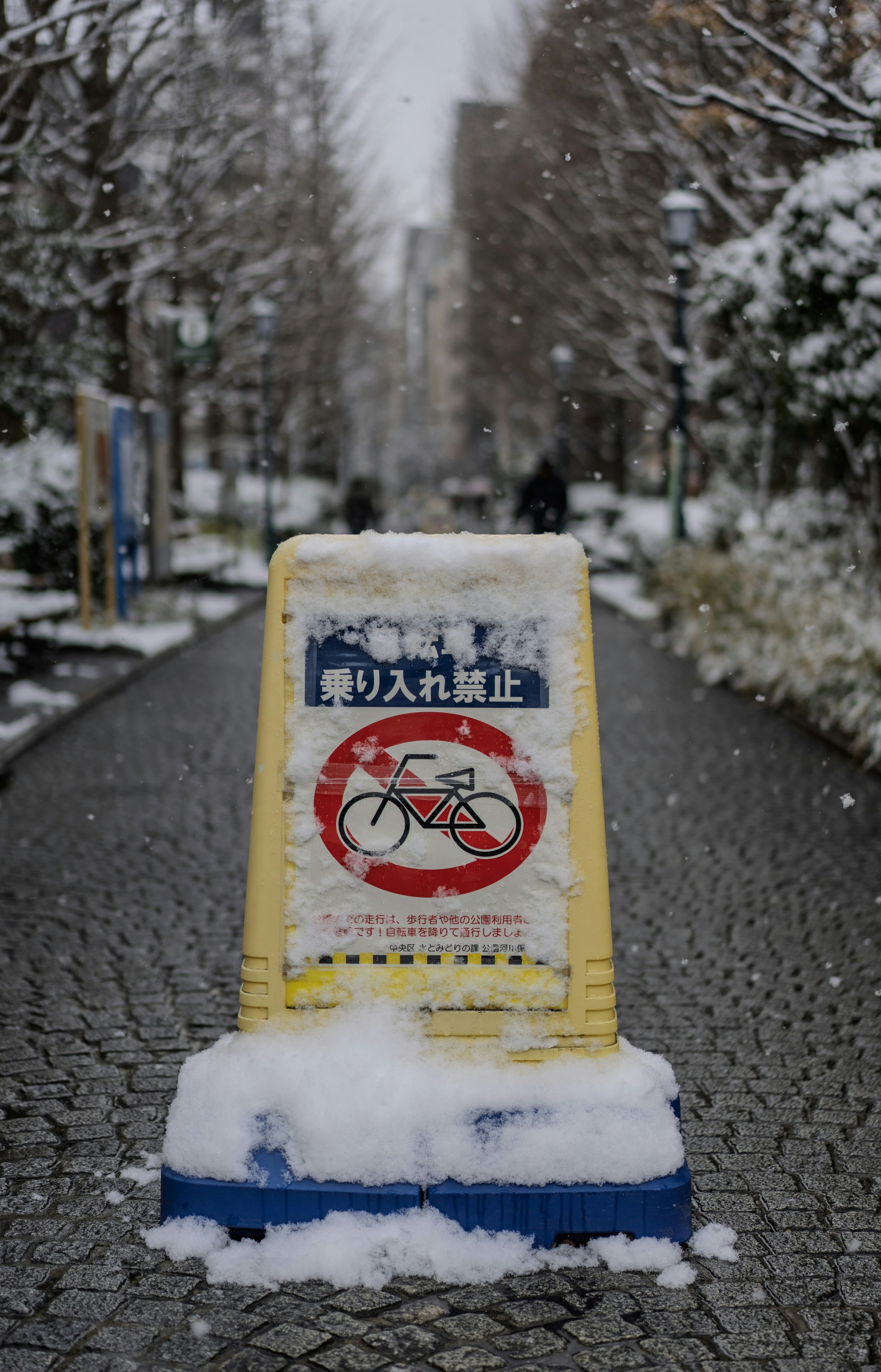 Snowy Street Barrier: A Quiet Pedestrian Corridor Framed by Winter Grasp