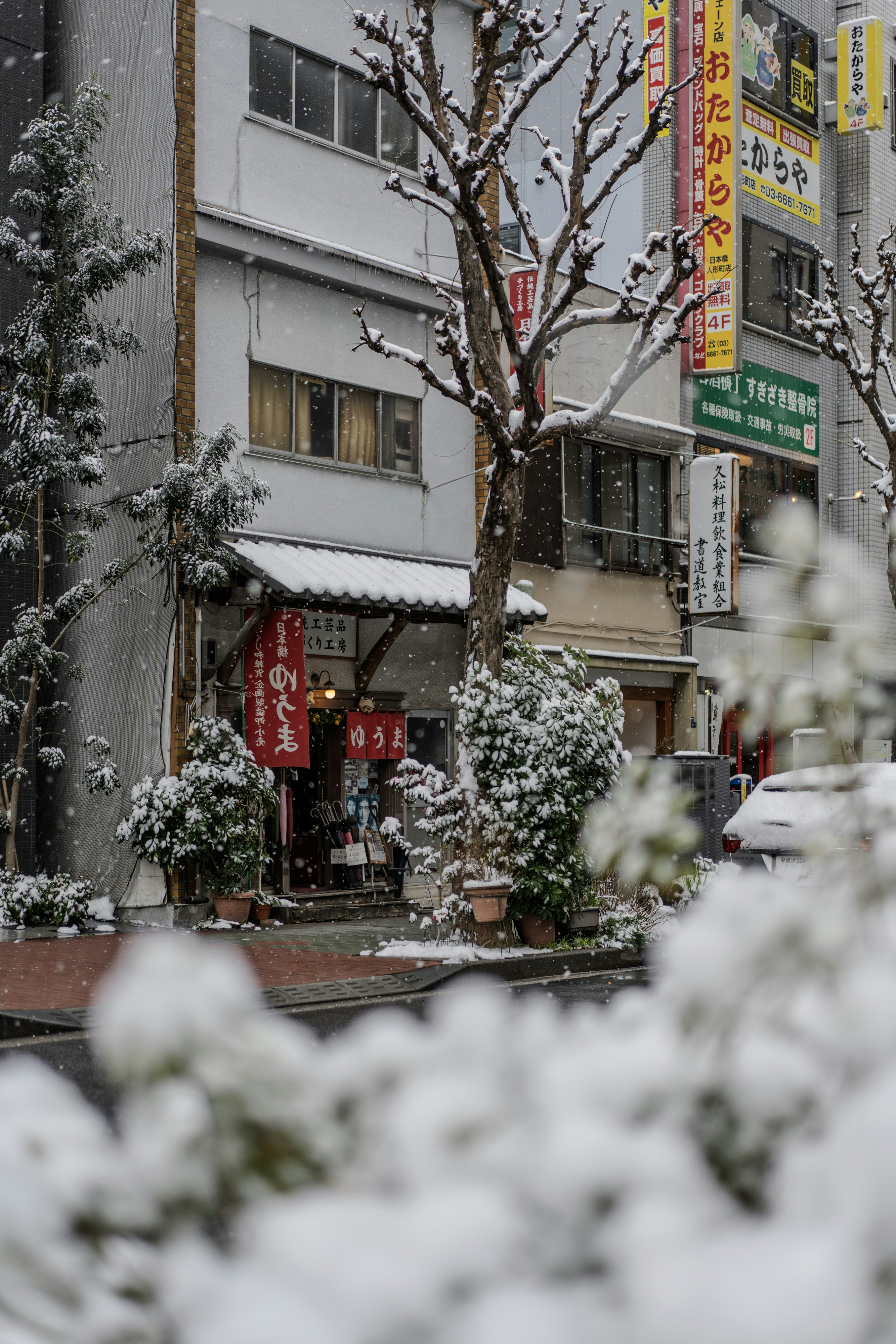 Snowy Streetfront Café Under Signage