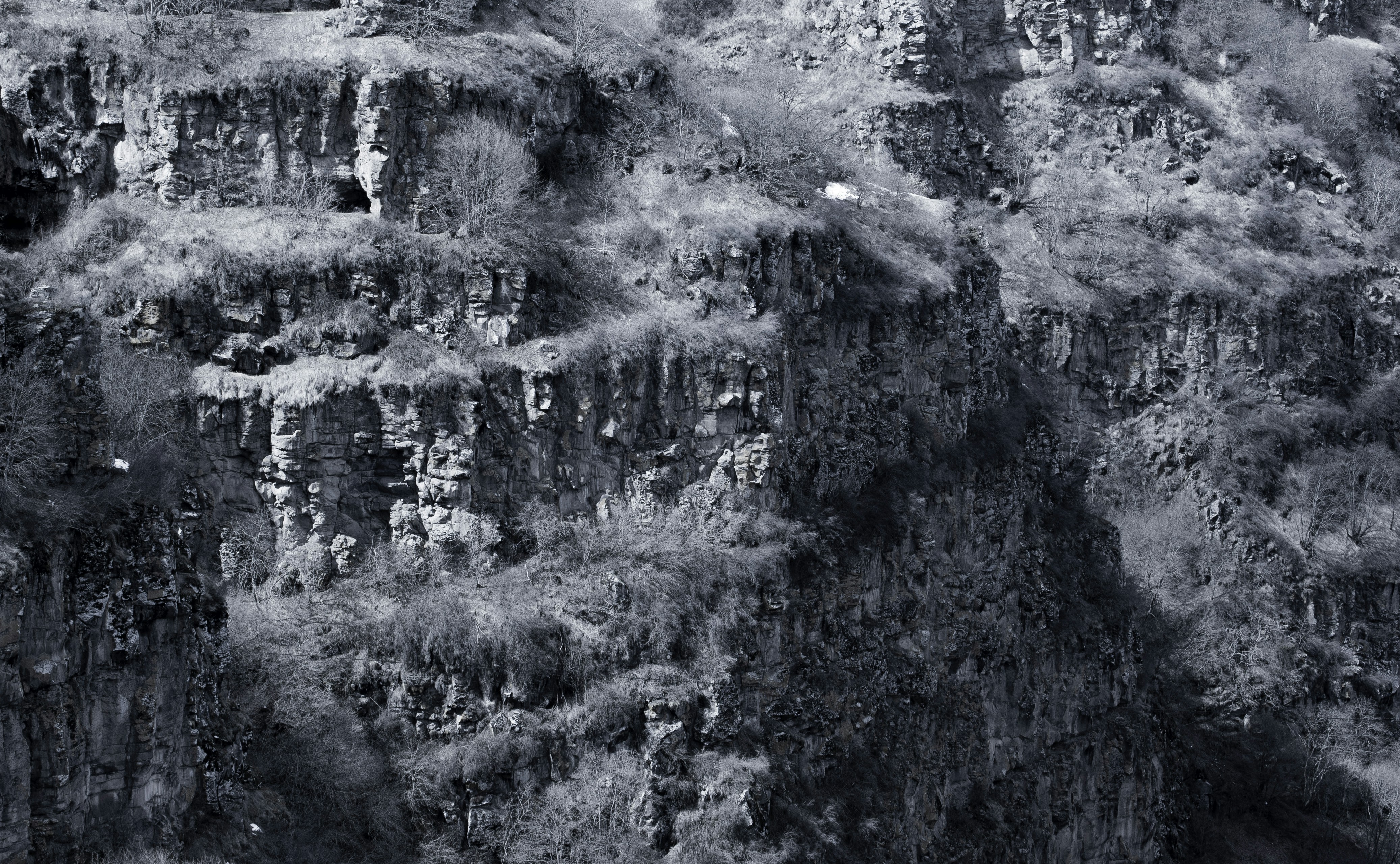 Rocky ledges in monochrome: a weathered canyon face