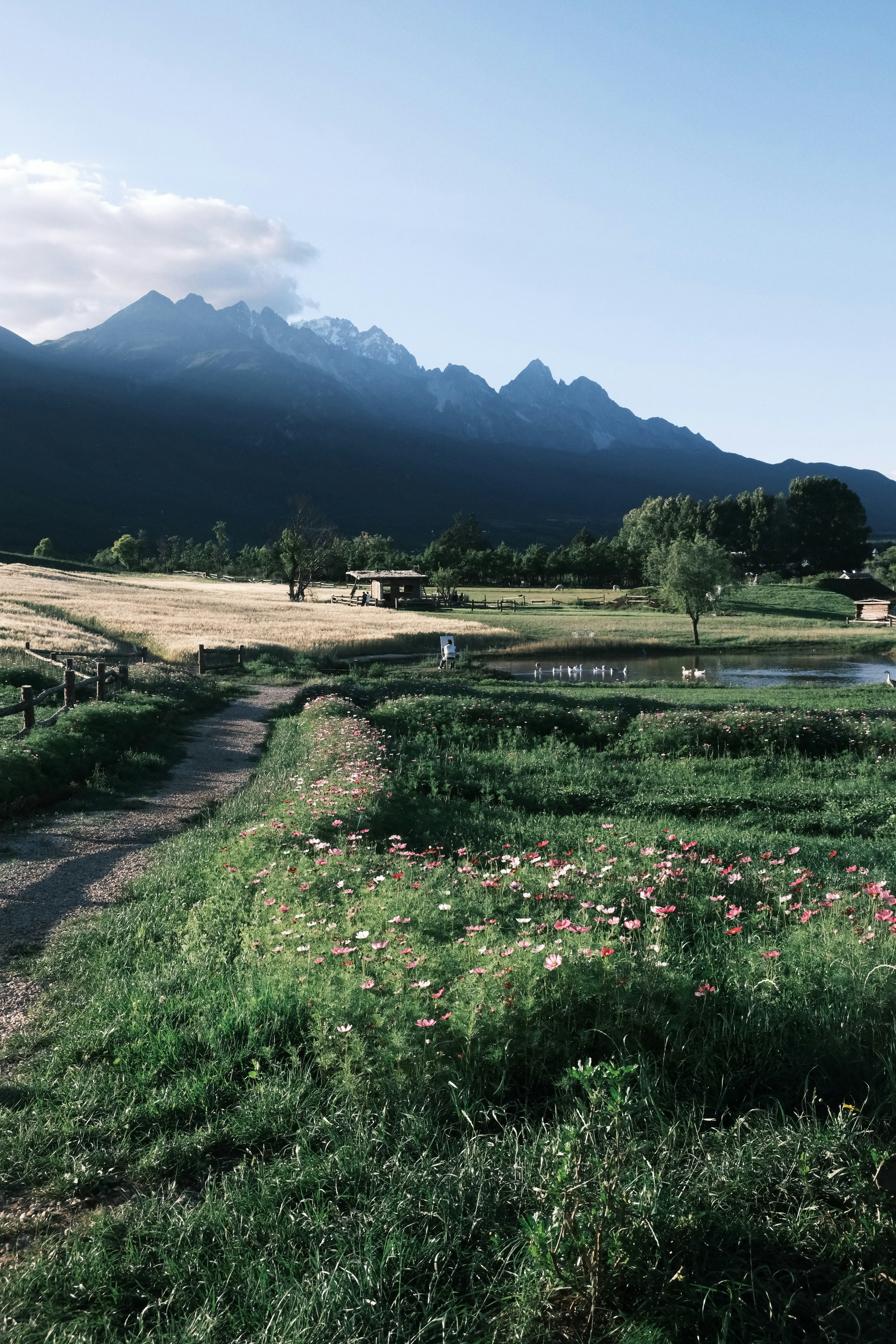 Path Through Meadow Toward the Mountain Ridge at Dusk