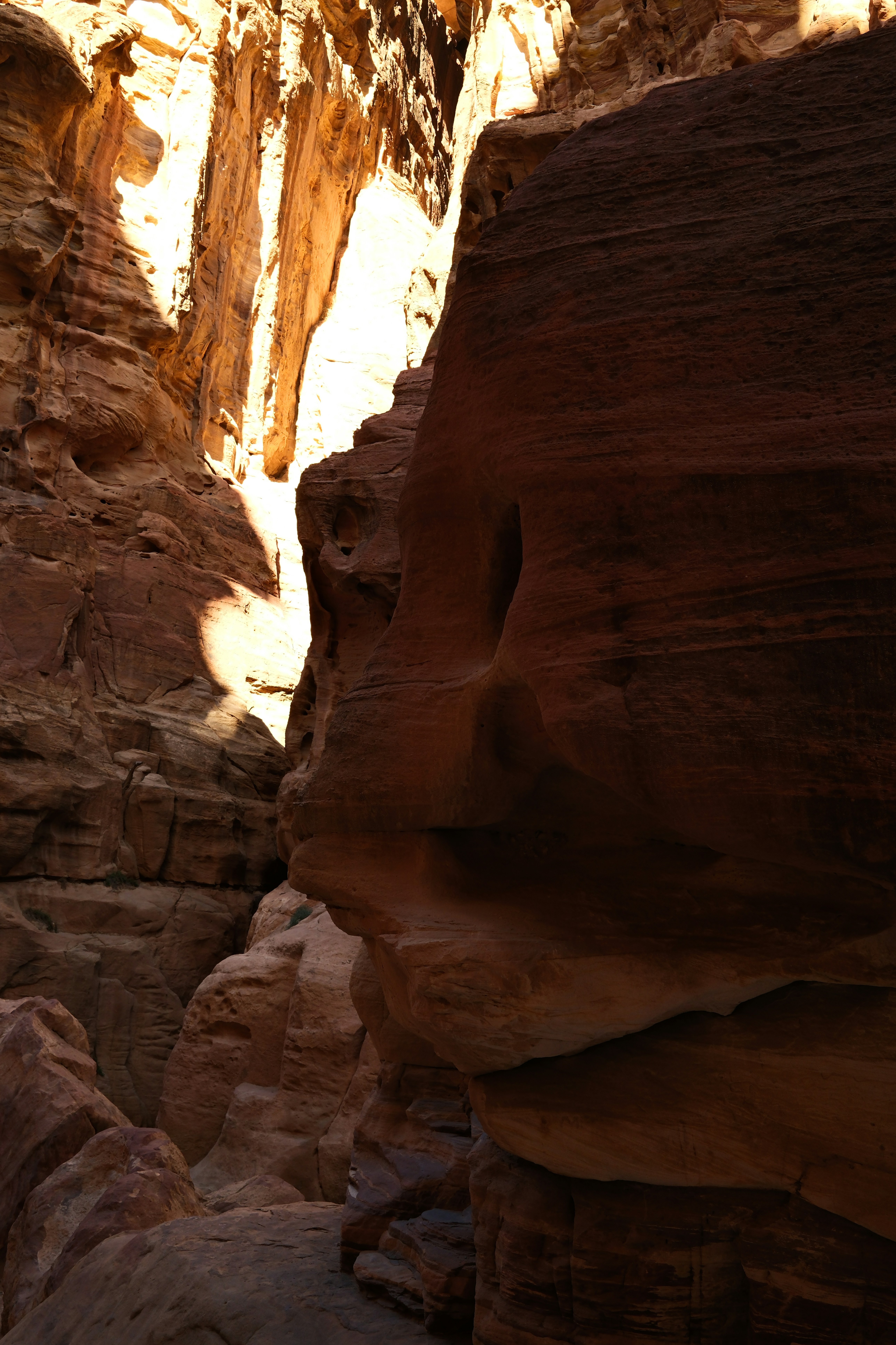Sunlit Canyon Carved Faces: The Red Rock Echoes