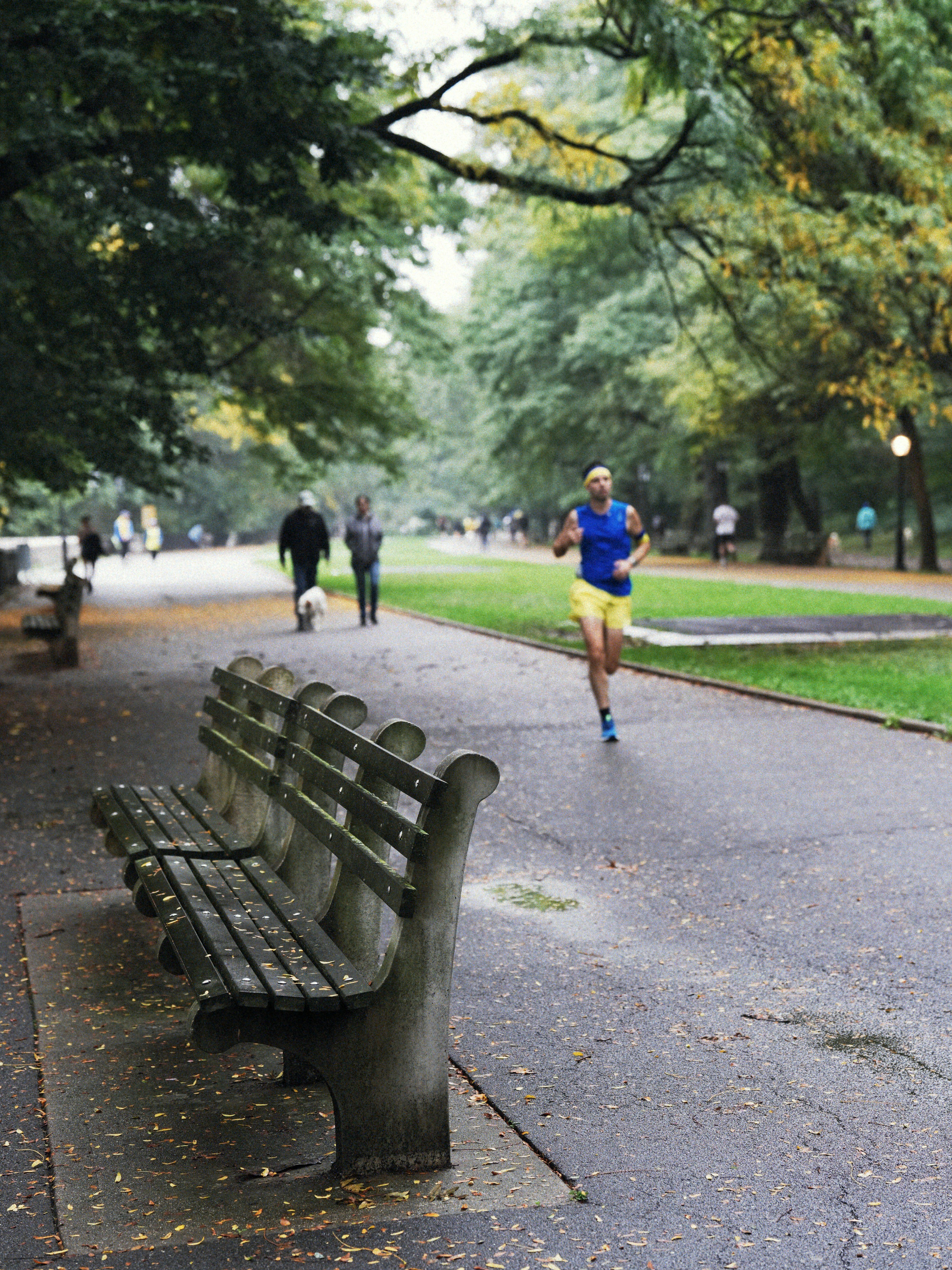 Bench at the Park Path: A Runner in the Far Lane