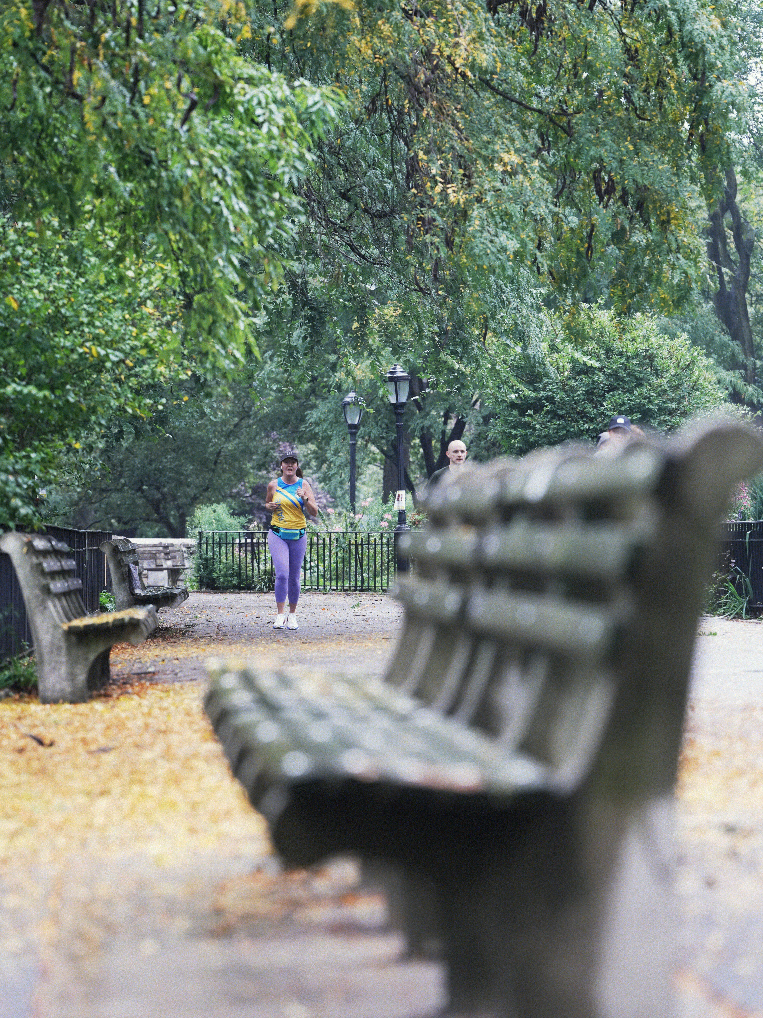 Runner in a Quiet Park Bend