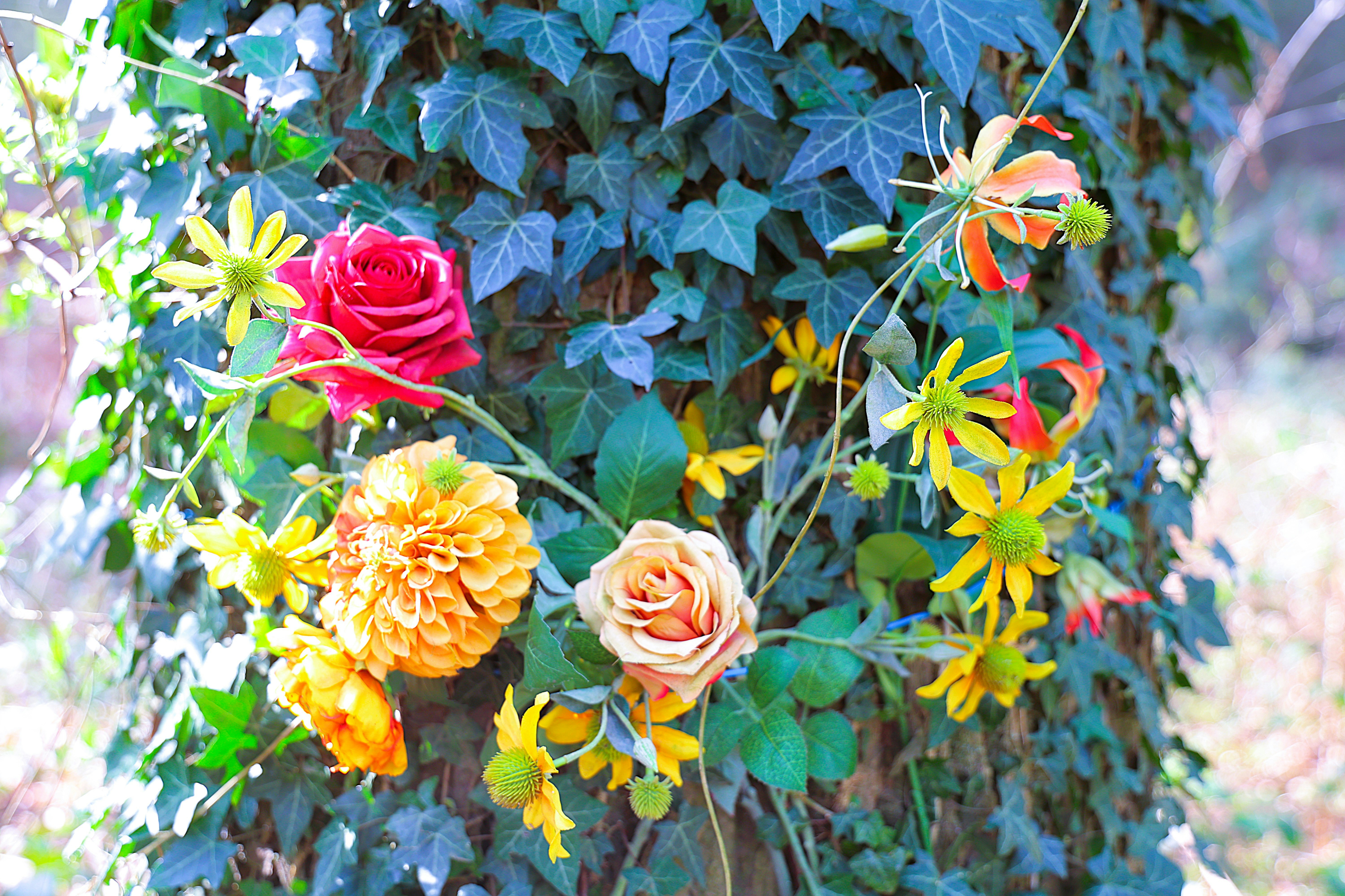 Vibrant Bouquet on a Ivy-Covered Wall