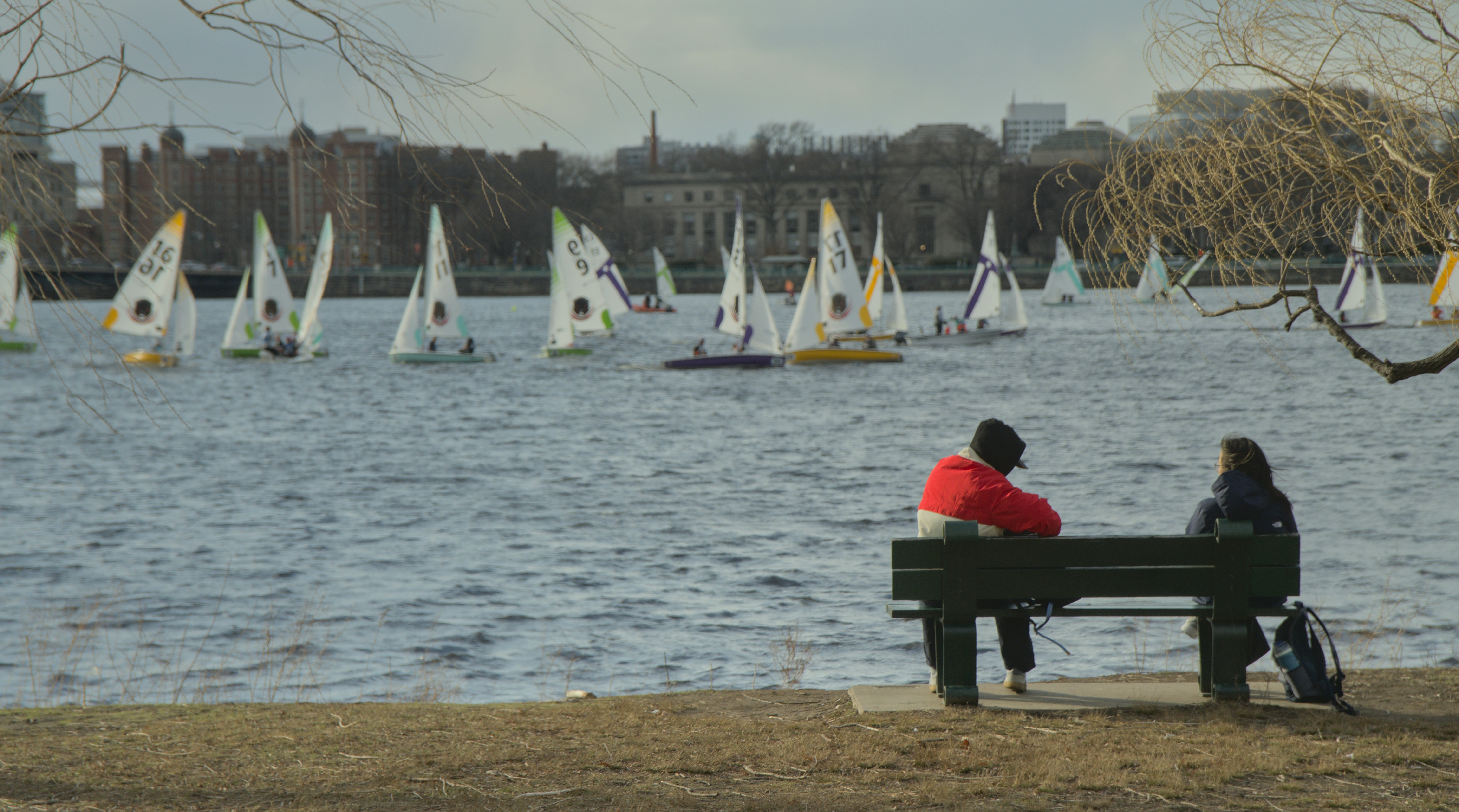 Two Silhouettes on a Park Bench Overlooking a Fleet of Sailboats