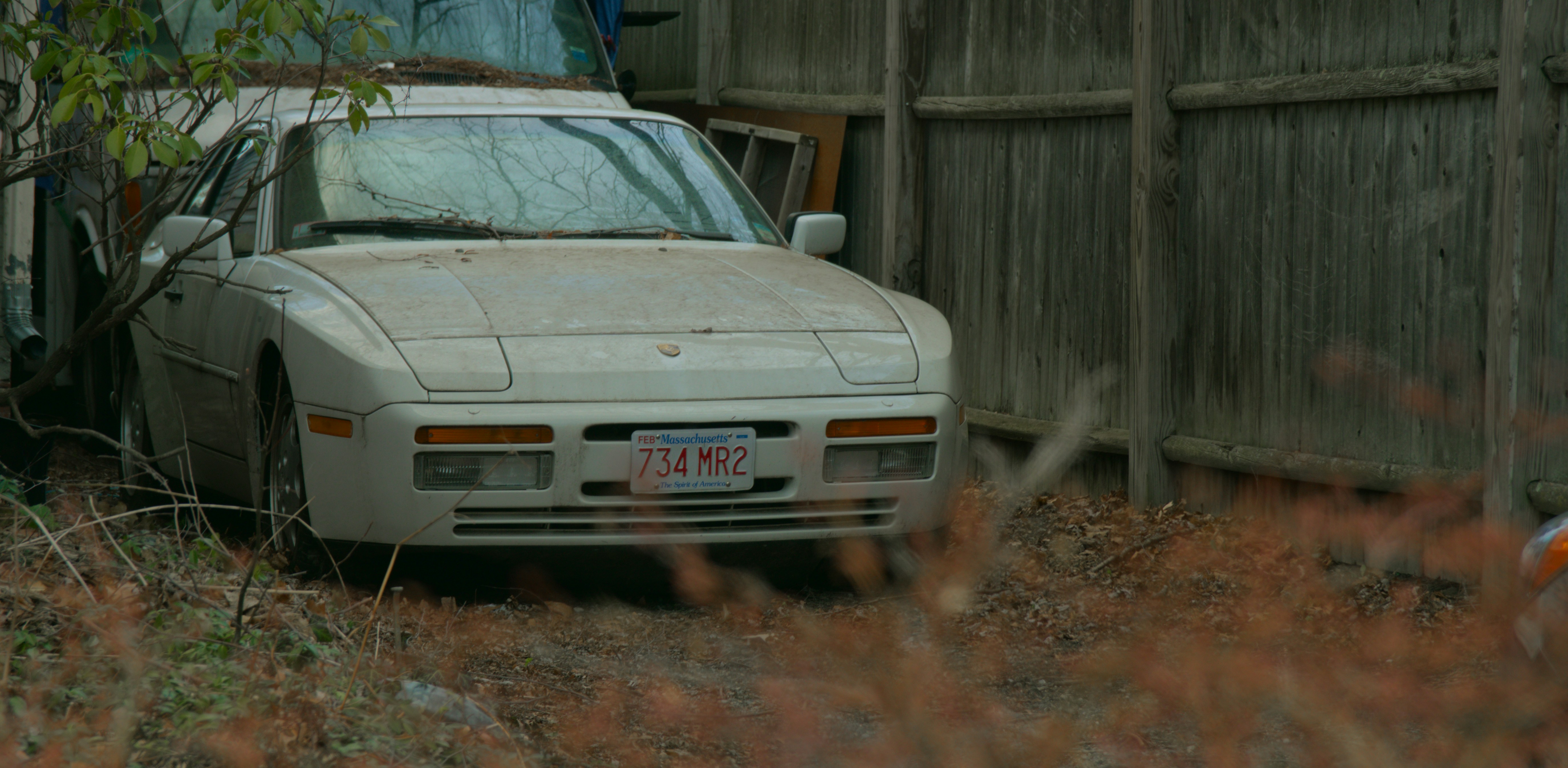 Abandoned Packard in a Rust-colored Clearing