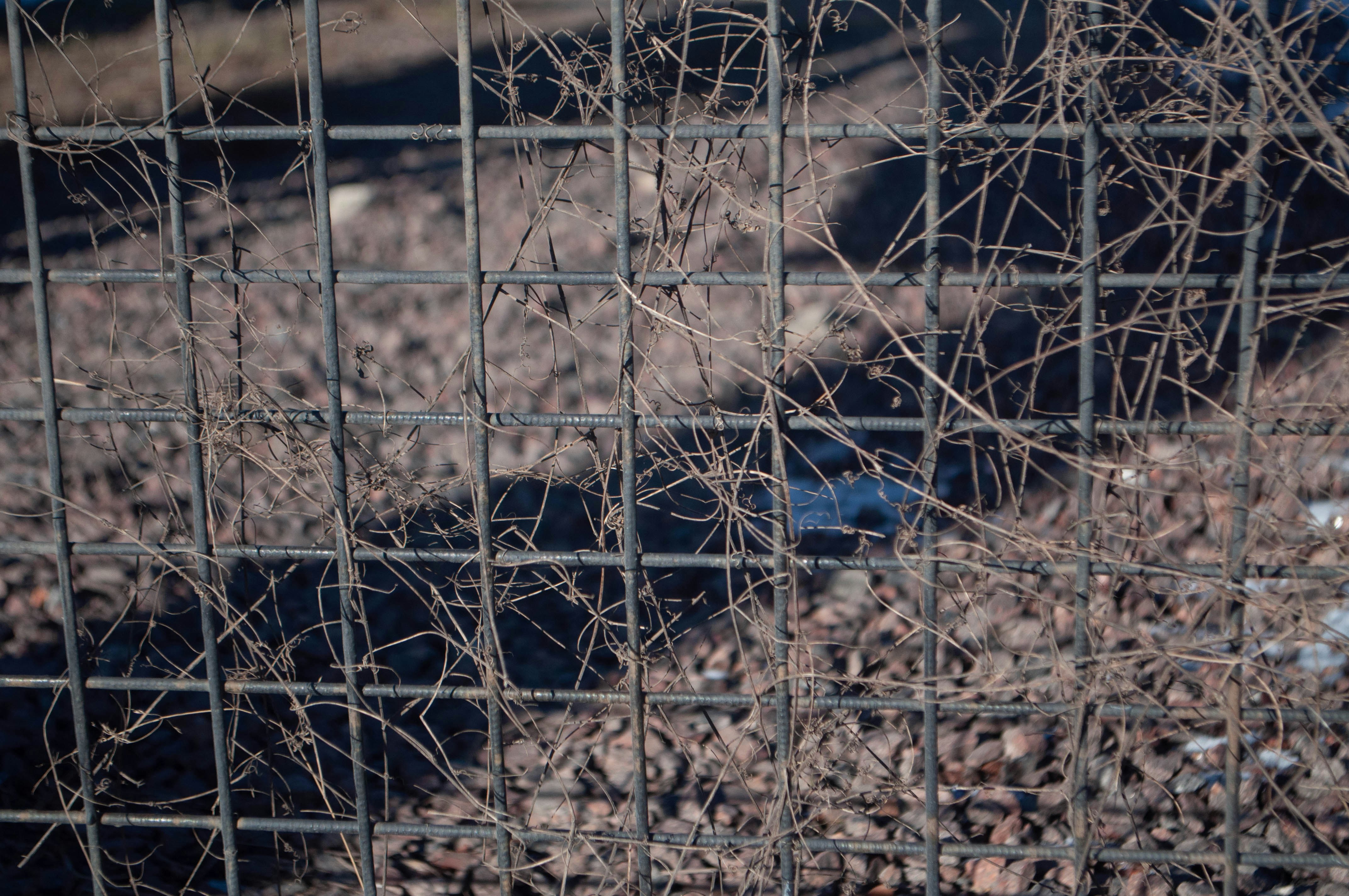 Woven Grid of Quiet Decay