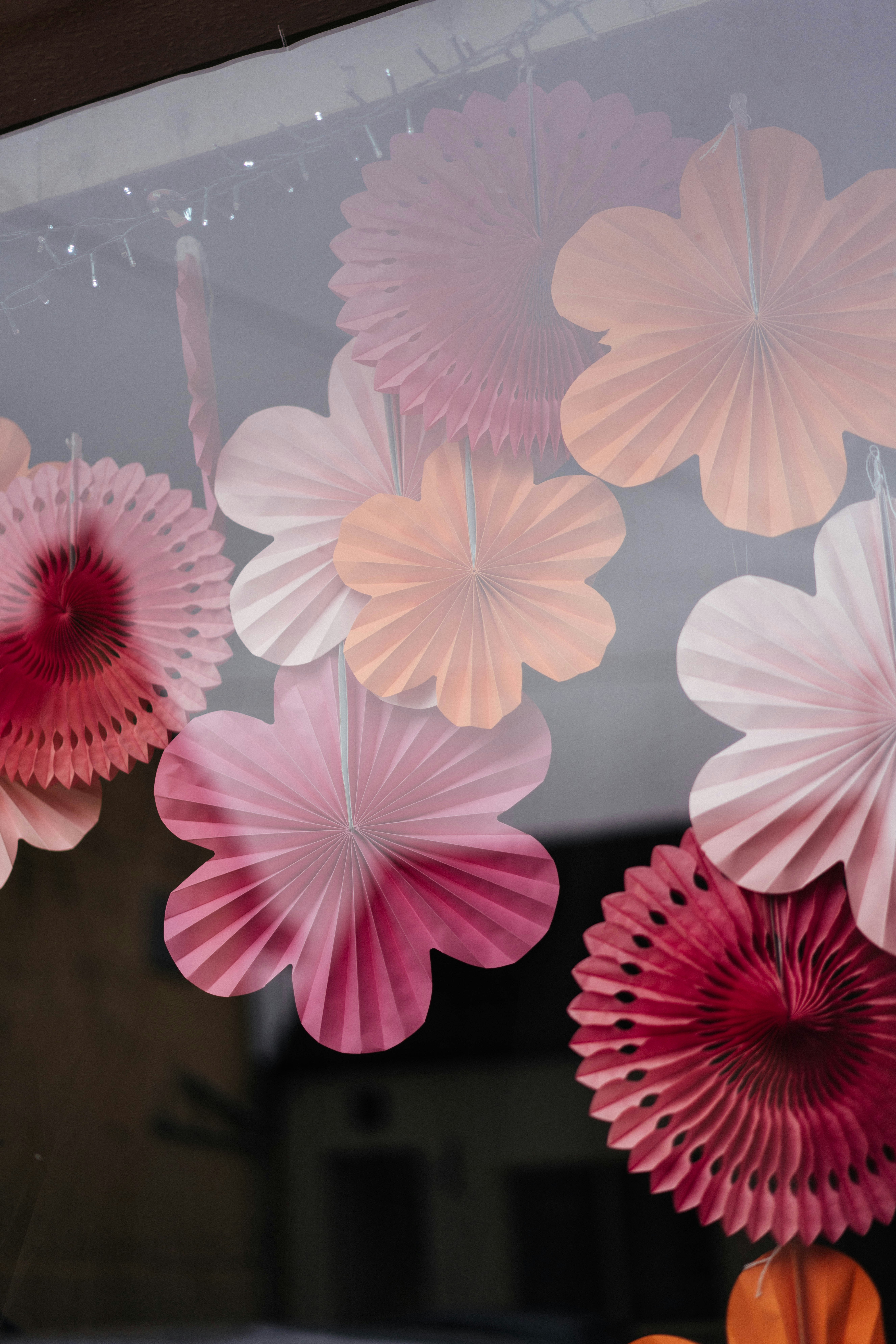 Pink Petal Choir: Paper Rosettes Drift Across a Glass Surface