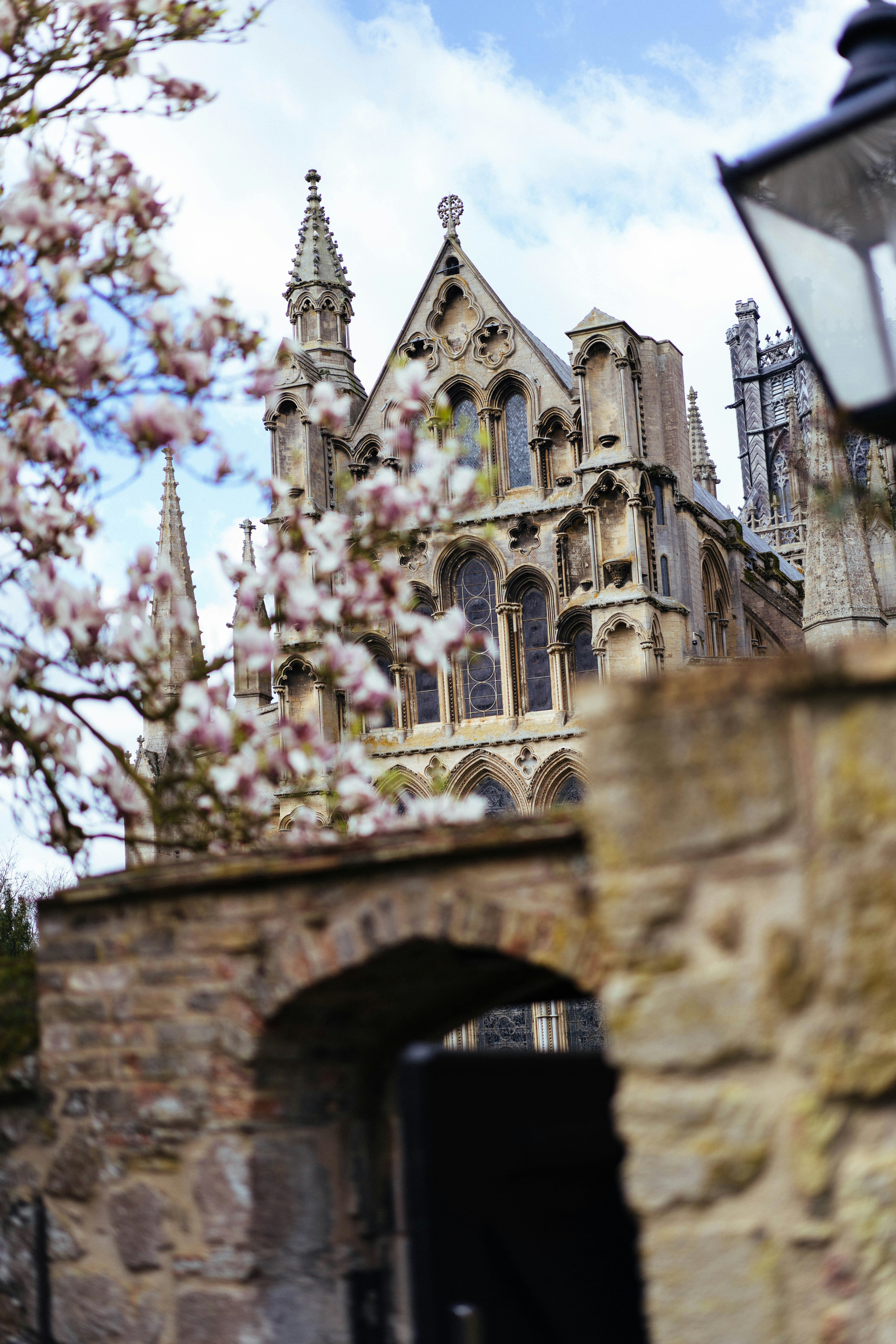 Gothic Cathedral Facade Peeking Through Spring Blooms