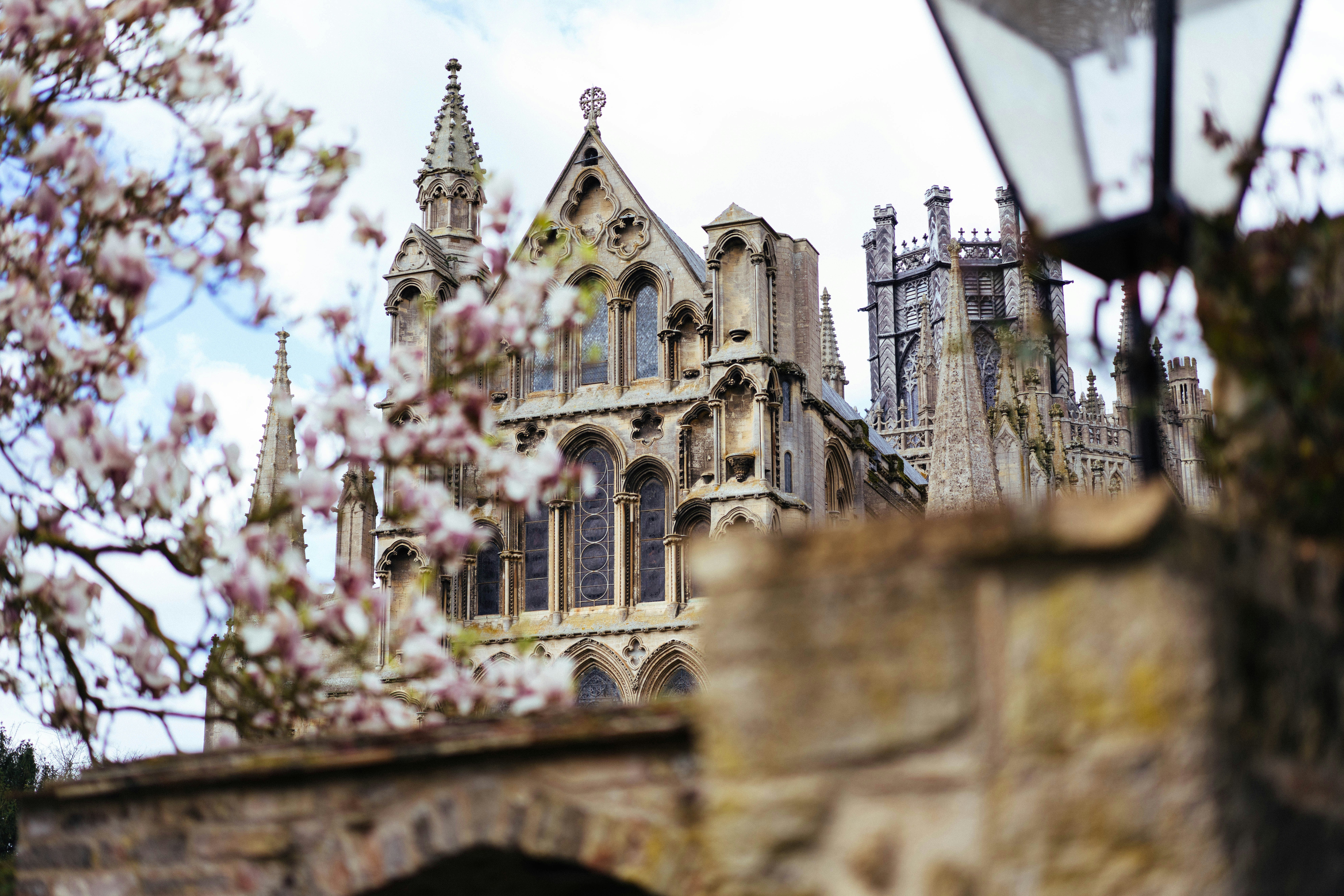 Floral Frame, Gothic Spires: A View of the Cathedral Through Spring Blossoms