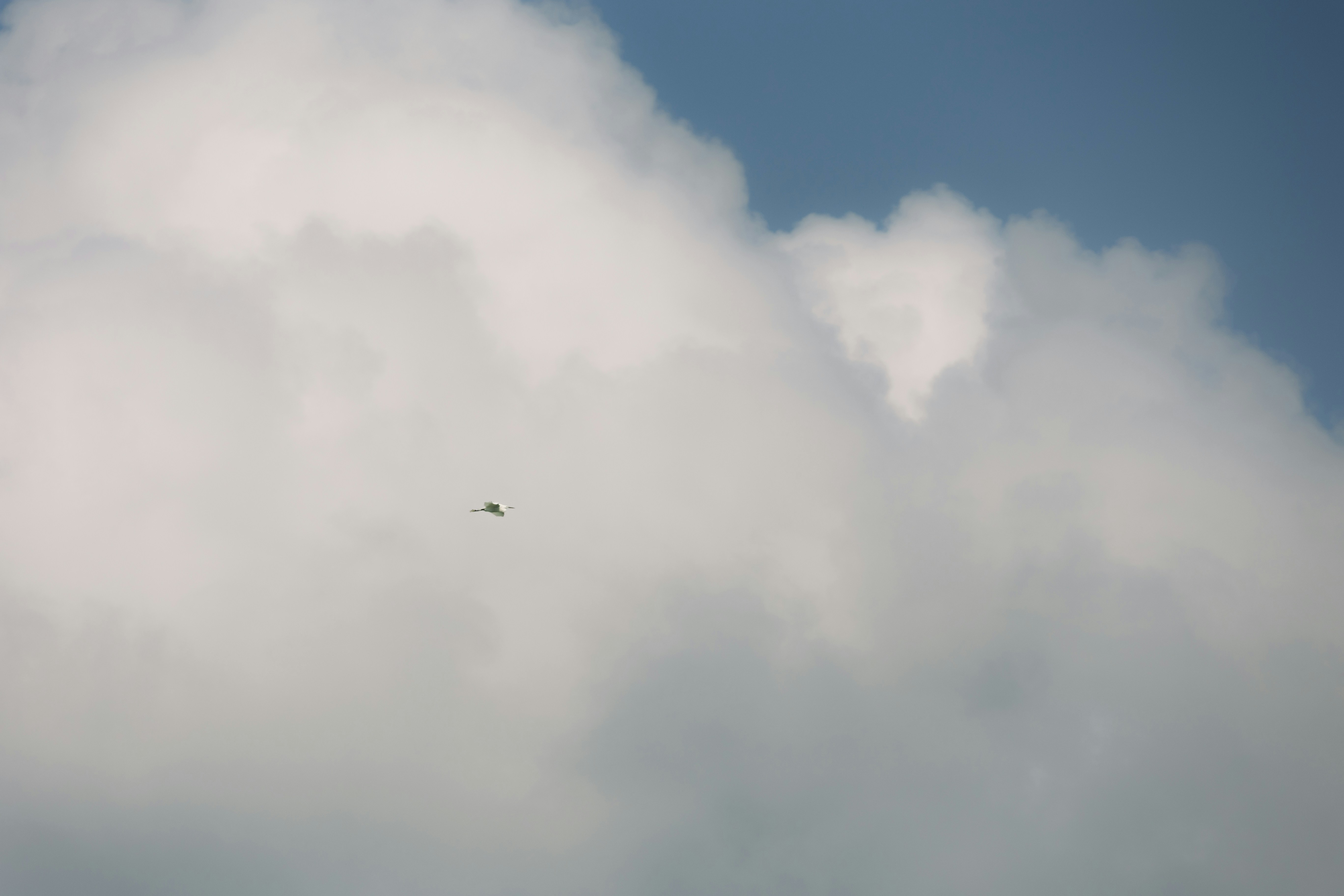 A lone aircraft glides through a cloudscape