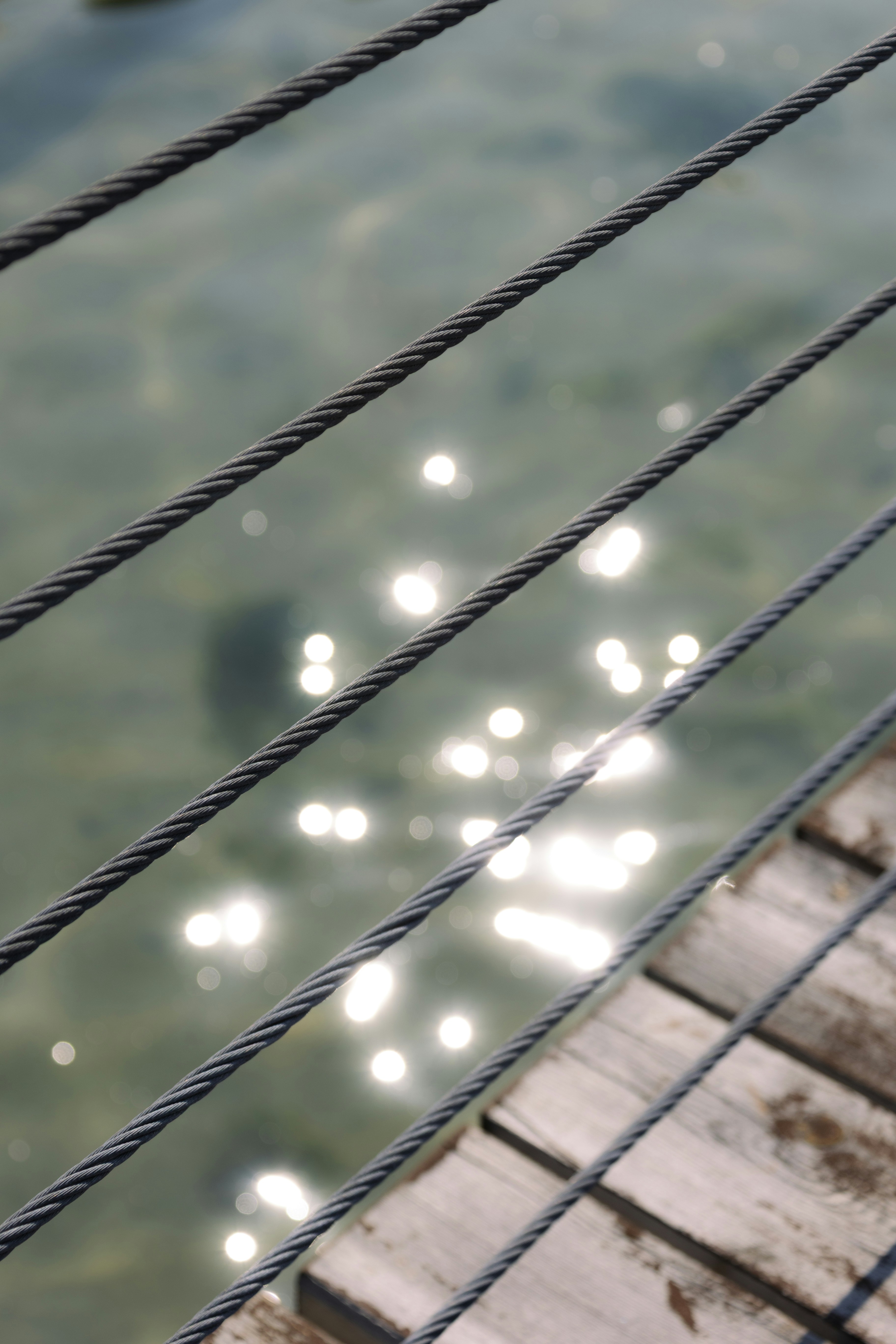 Ropes Crossing Over glimmering water: a suspended view from a harbor railing