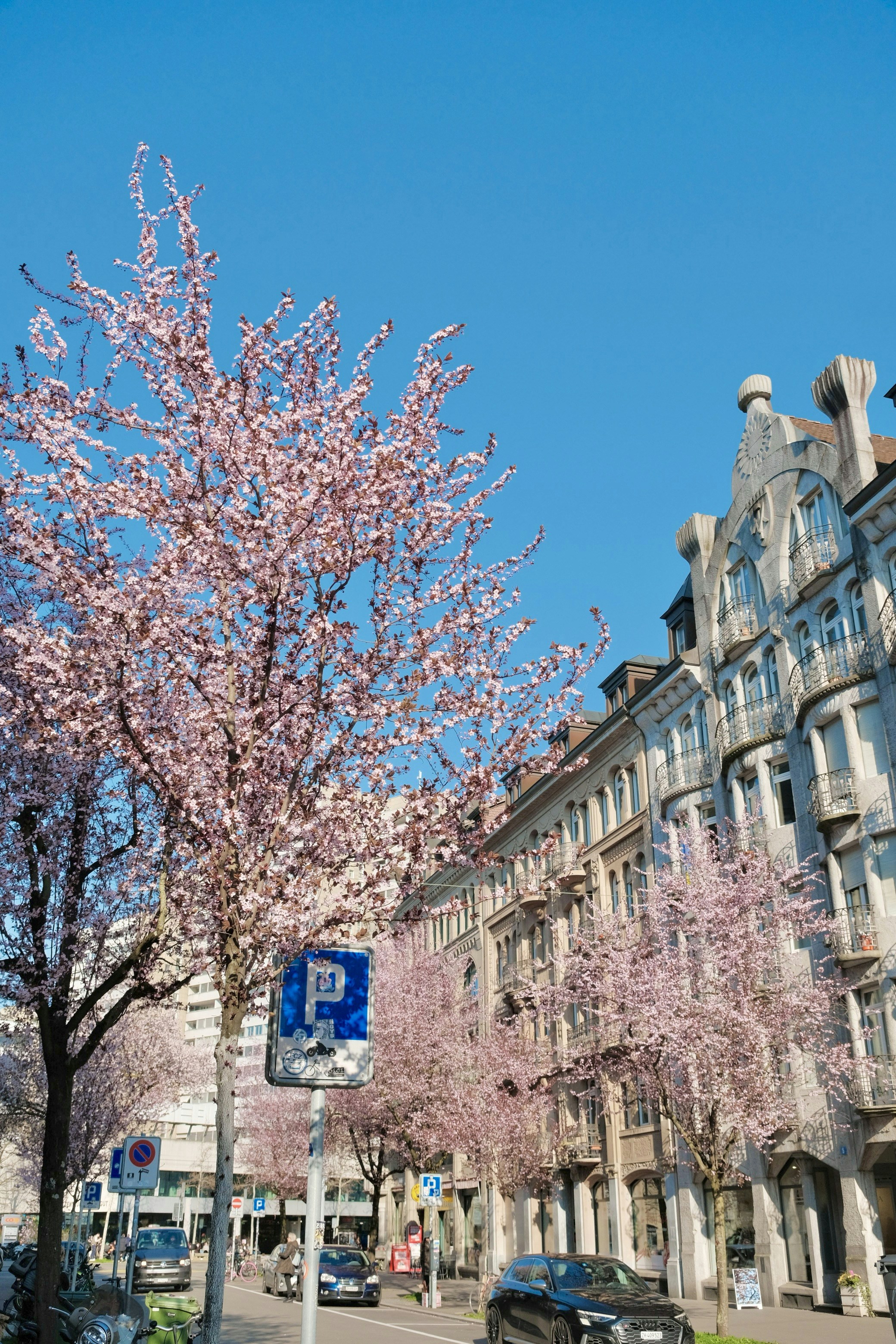 Blossoms Along a Cosy European Street