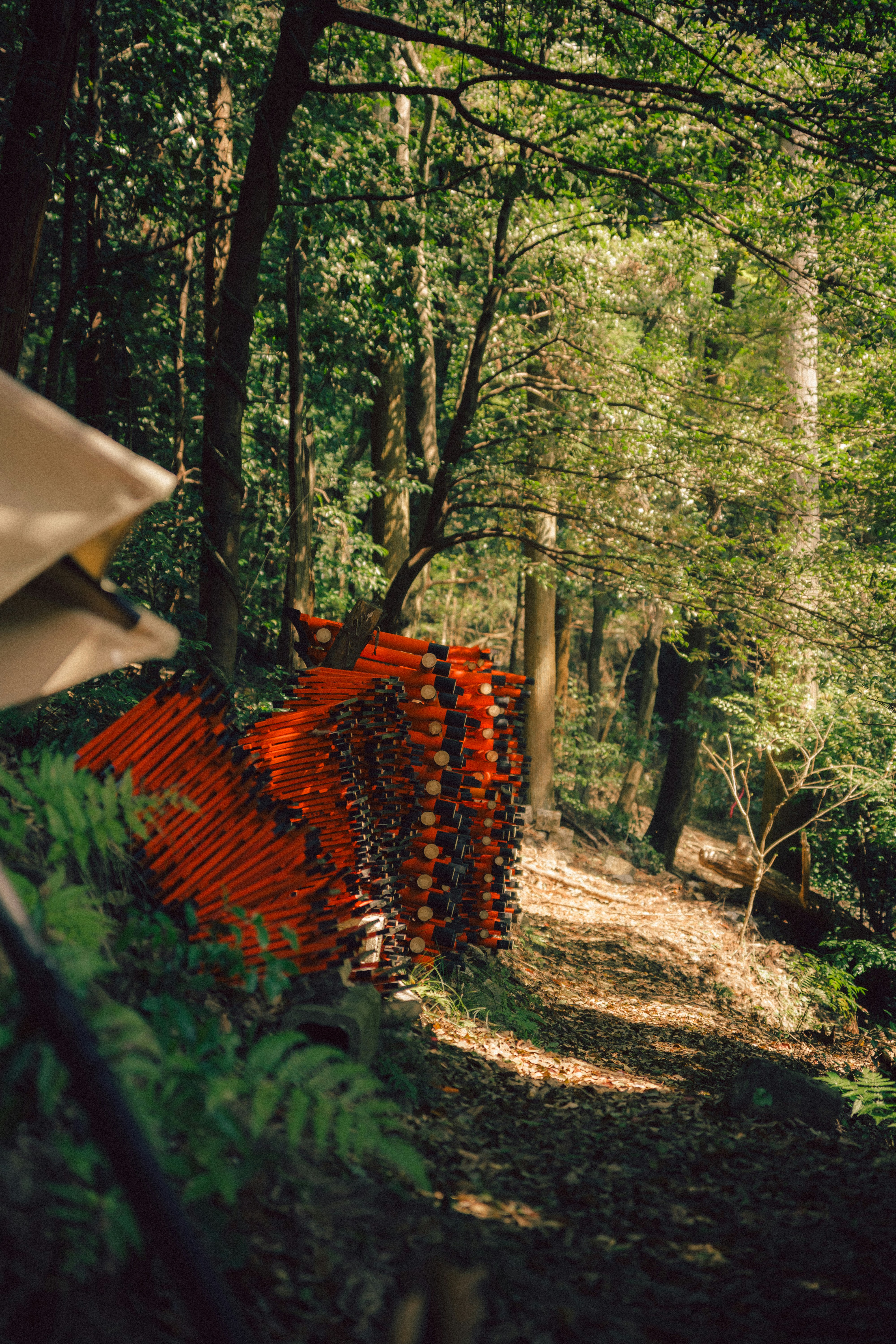 Stacked orange barriers beside a sunlit forest trail