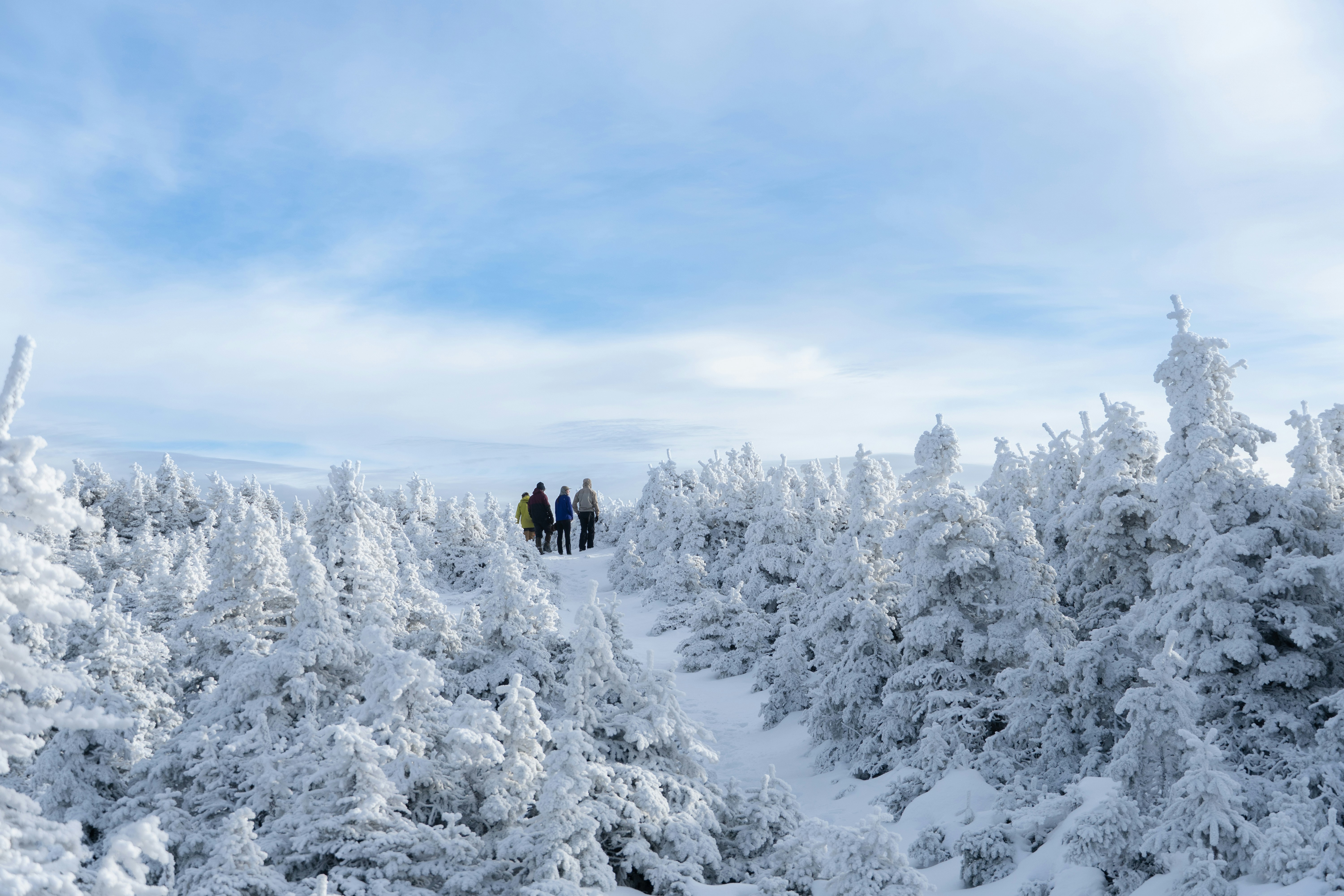 Snowbound Summit: A Small Group Closes the Horizon