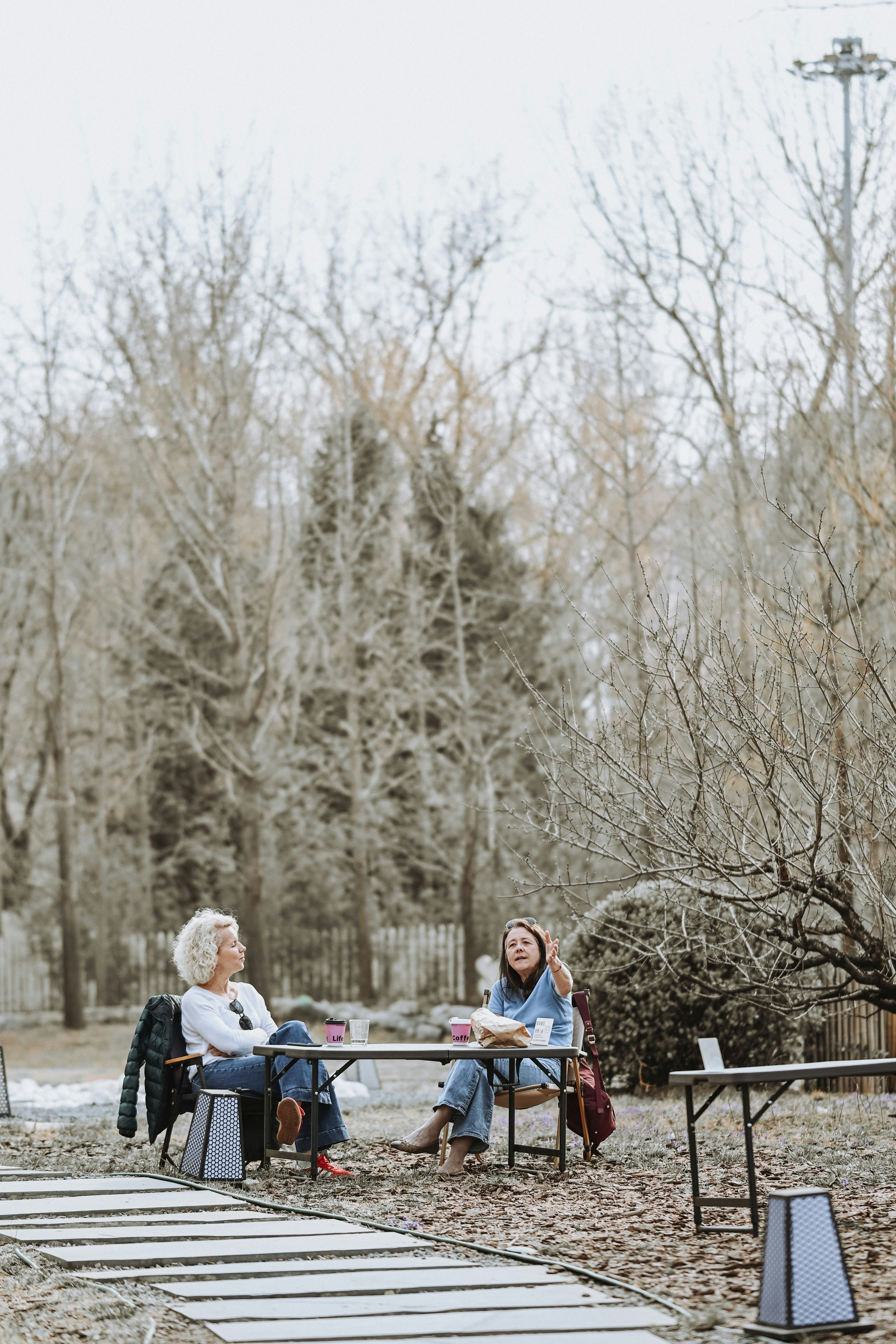 Conversations in the Park: Two Women at a Winter Table