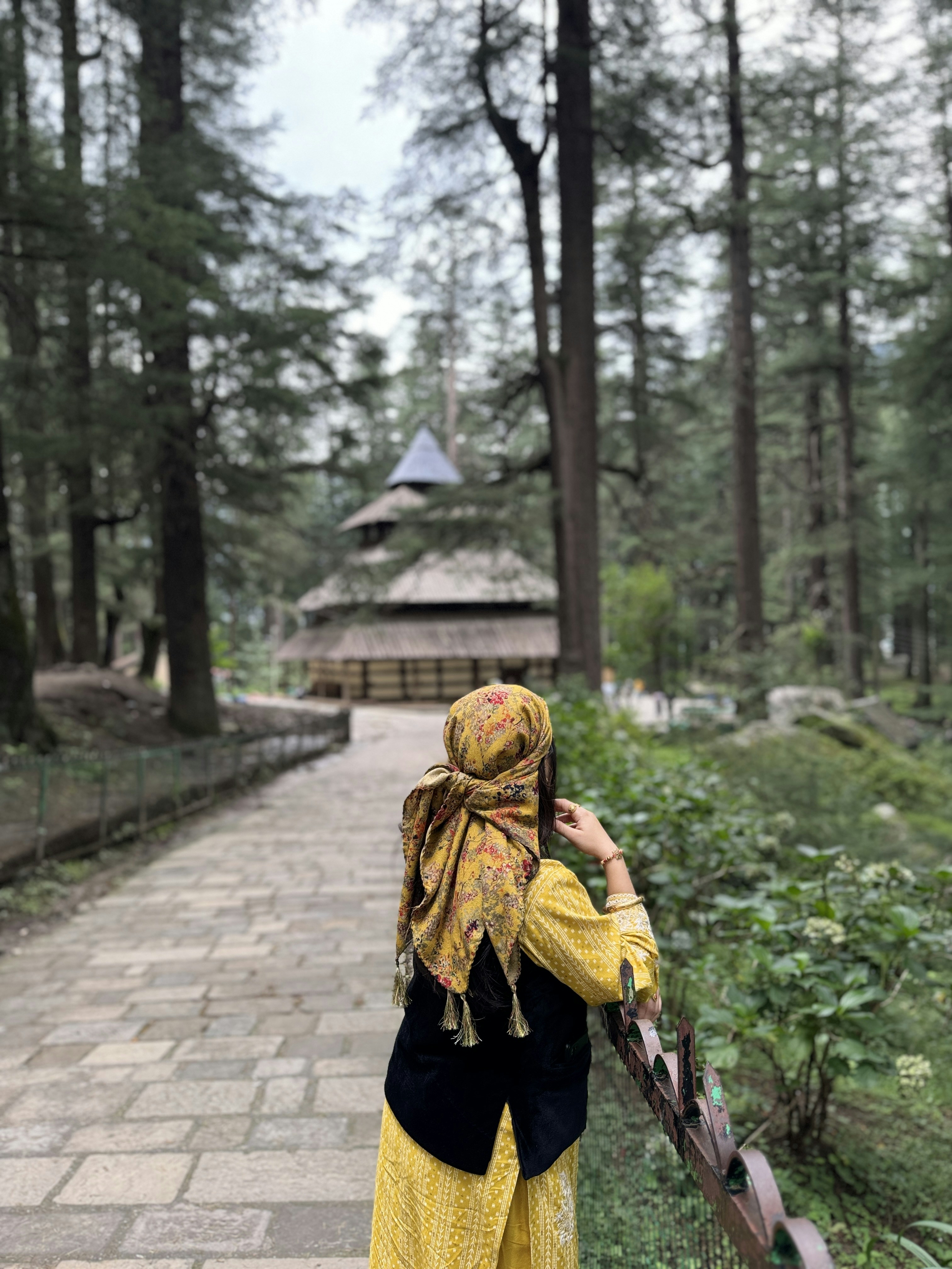 Traveler in Yellow: A Silk-clad Moment Along a Forest Path